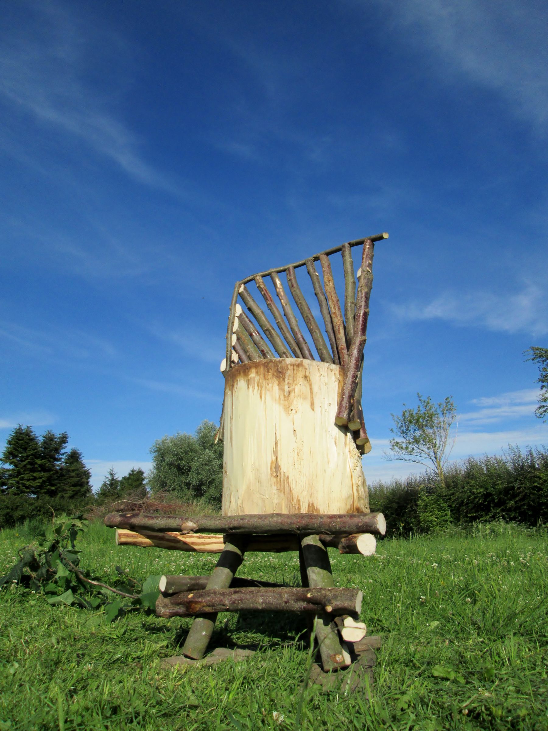 Stump Throne : 5 Steps (with Pictures) - Instructables
