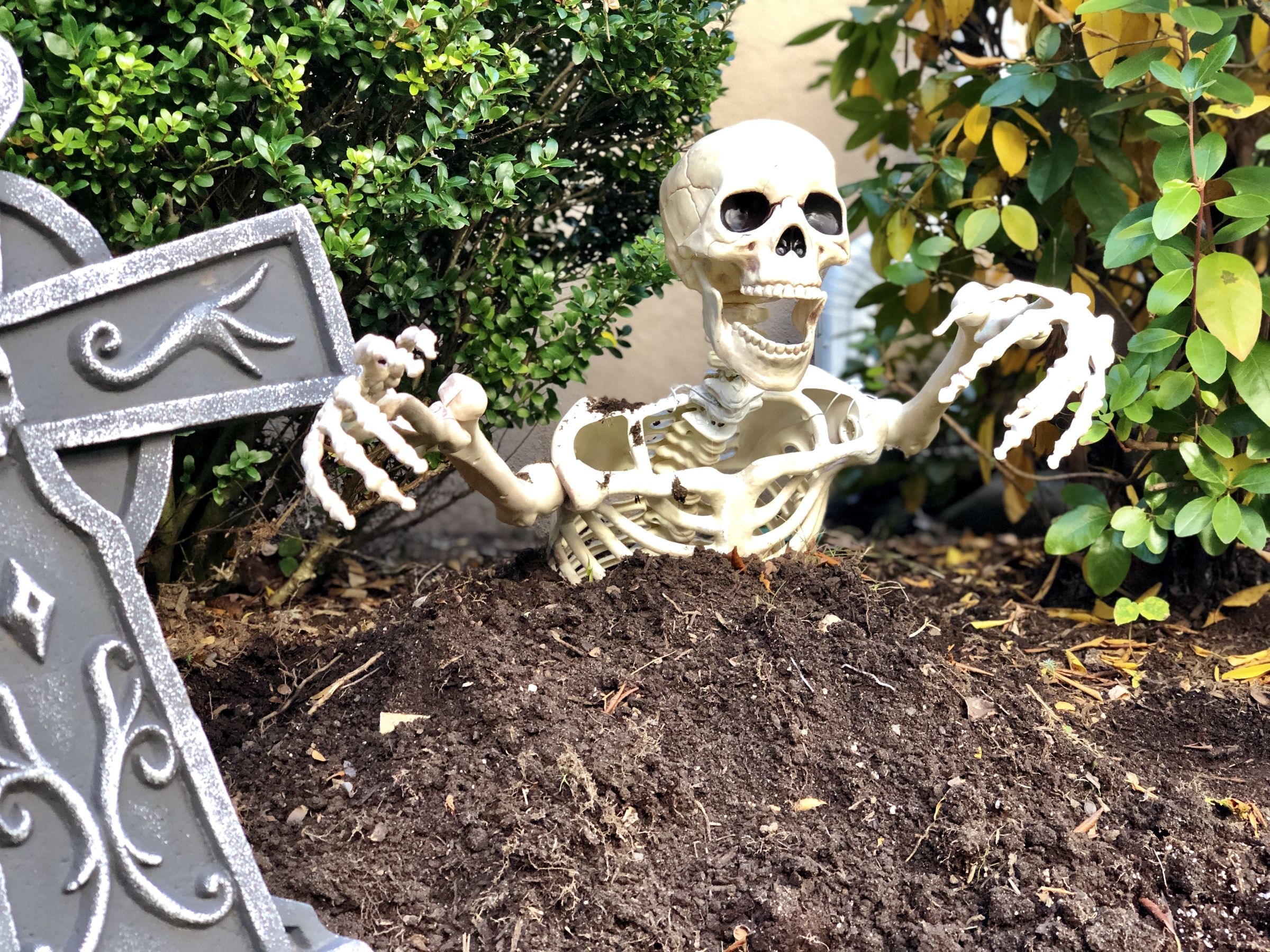 Graveyard Skeleton : 10 Steps (with Pictures) - Instructables