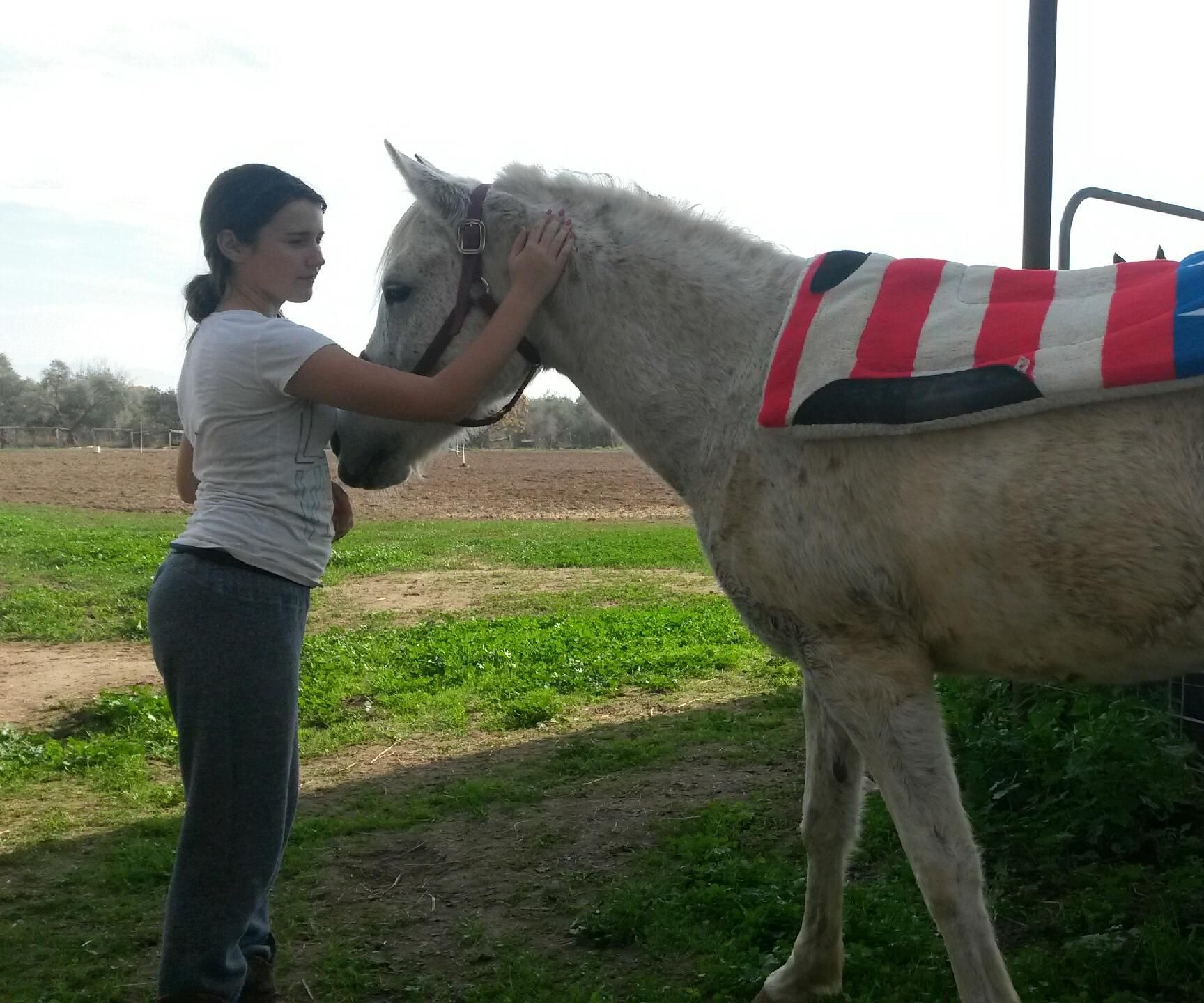 How to Saddle a Horse the Western Way Simply : 4 Steps - Instructables