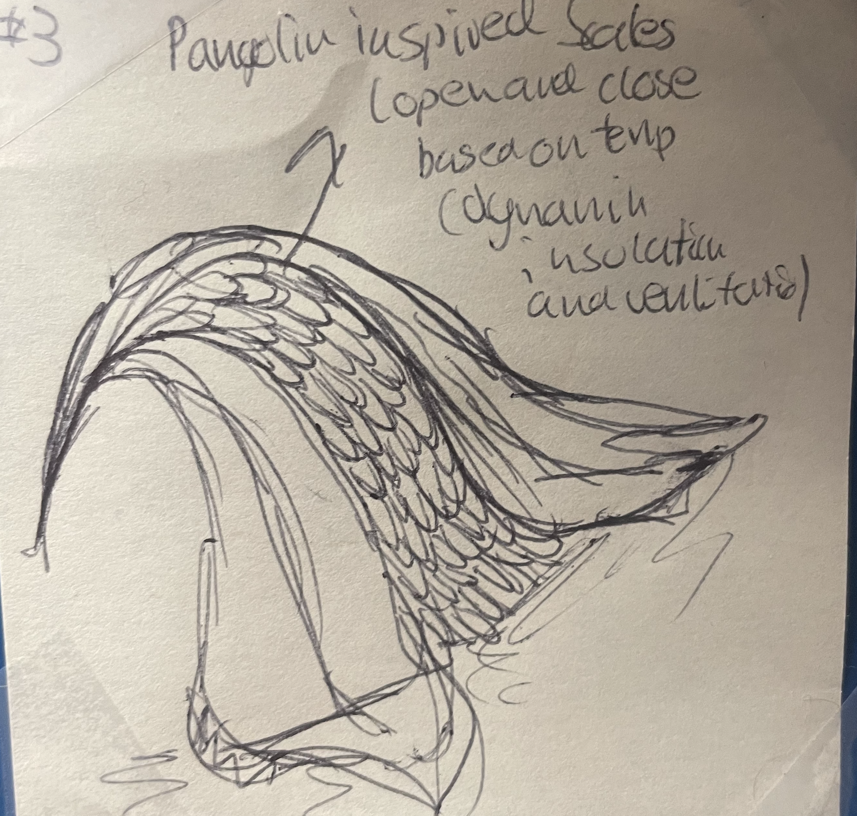 Desert Living: Learning From Nature : 27 Steps (with Pictures ...