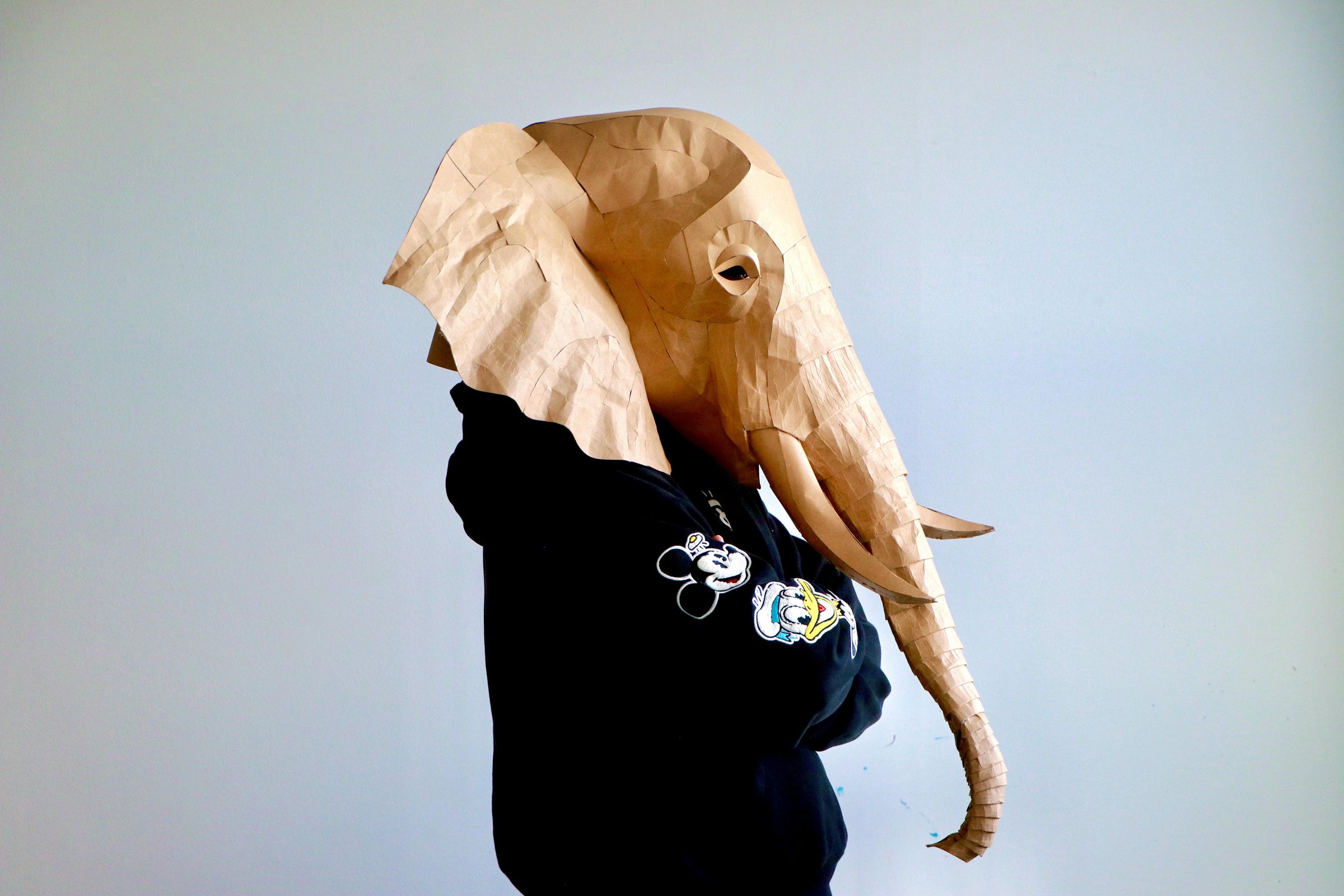 Easy DIY Elephant Mask and Wall Head – Just Crumple and Glue! : 9 Steps ...
