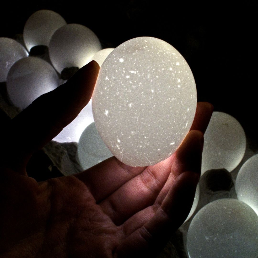 One Dozen Egg Lights : 3 Steps - Instructables