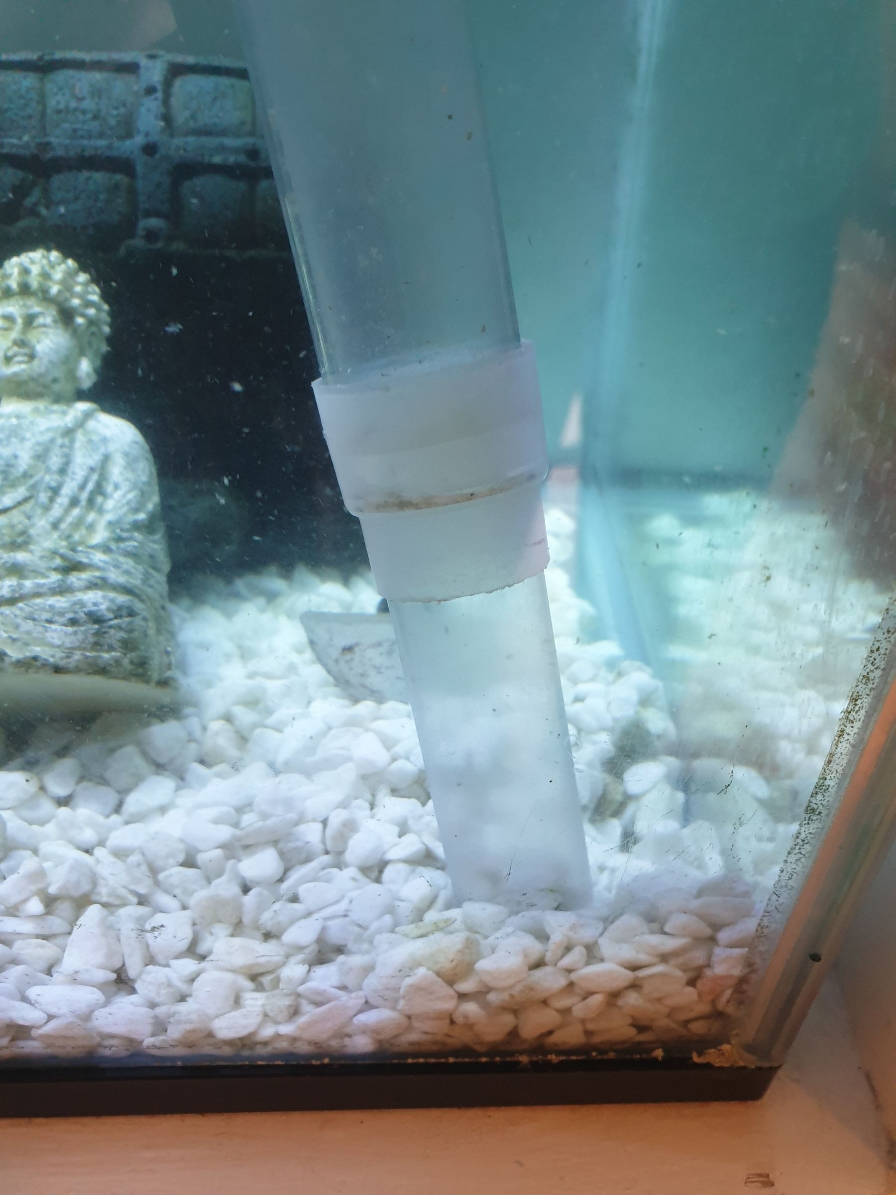 How to Clean a Small Fish Tank and Filter Using a Siphon : 4 Steps ...