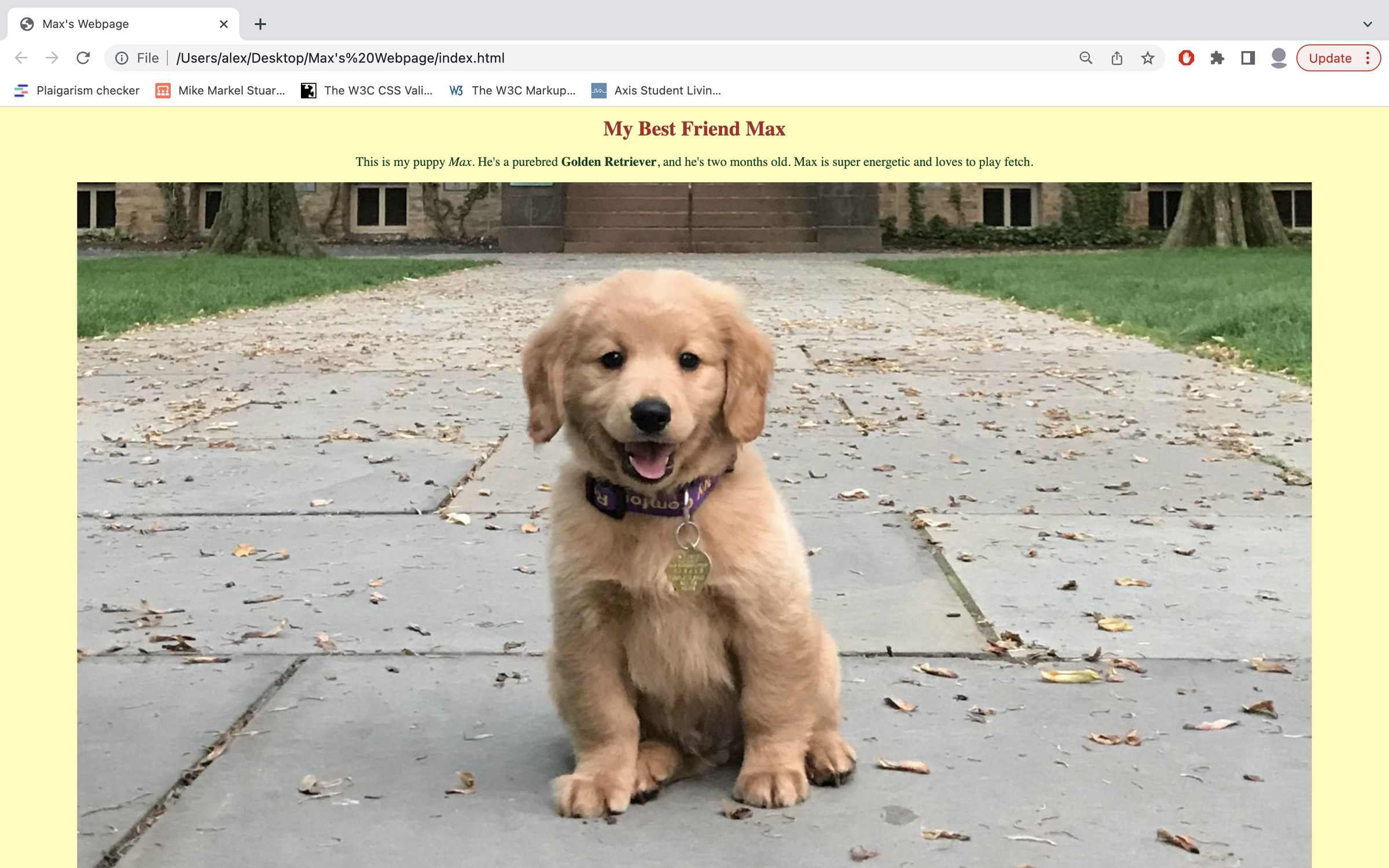Designing a Simple Webpage Using HTML and CSS : 10 Steps - Instructables