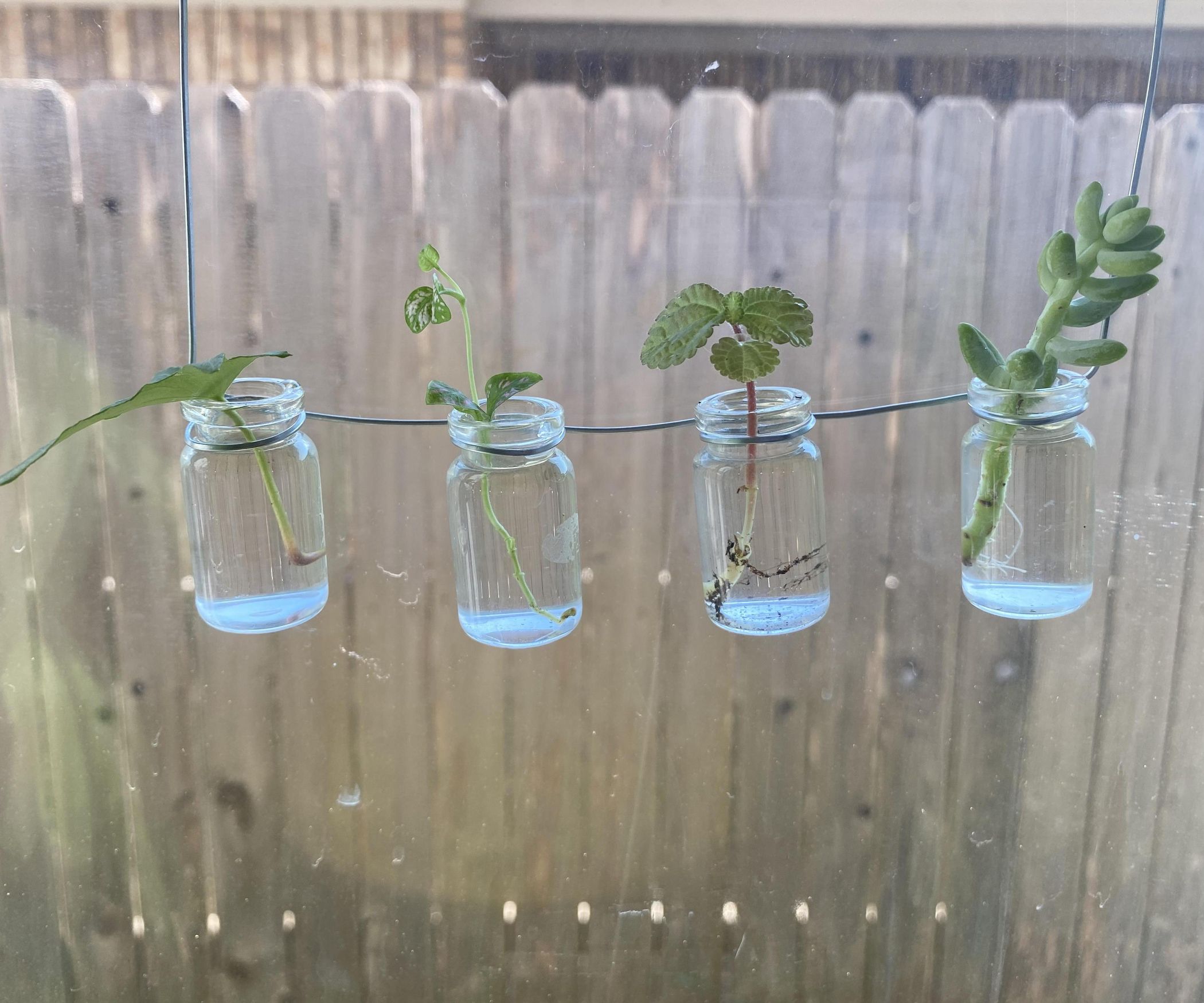 Window Propagation Station : 8 Steps (with Pictures) - Instructables