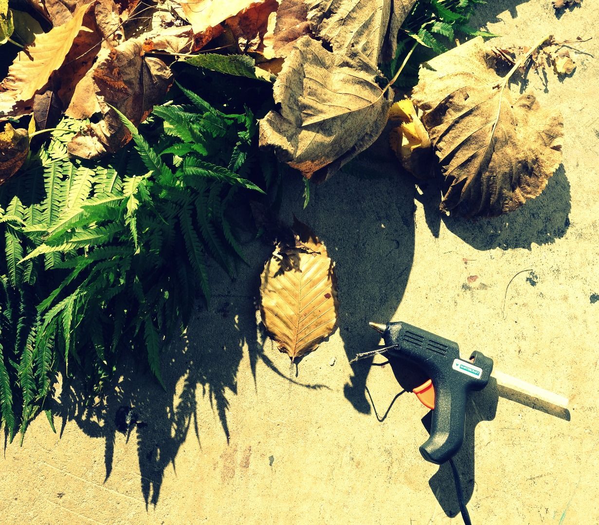 Leaf Monster With Tracking Eye : 6 Steps (with Pictures) - Instructables