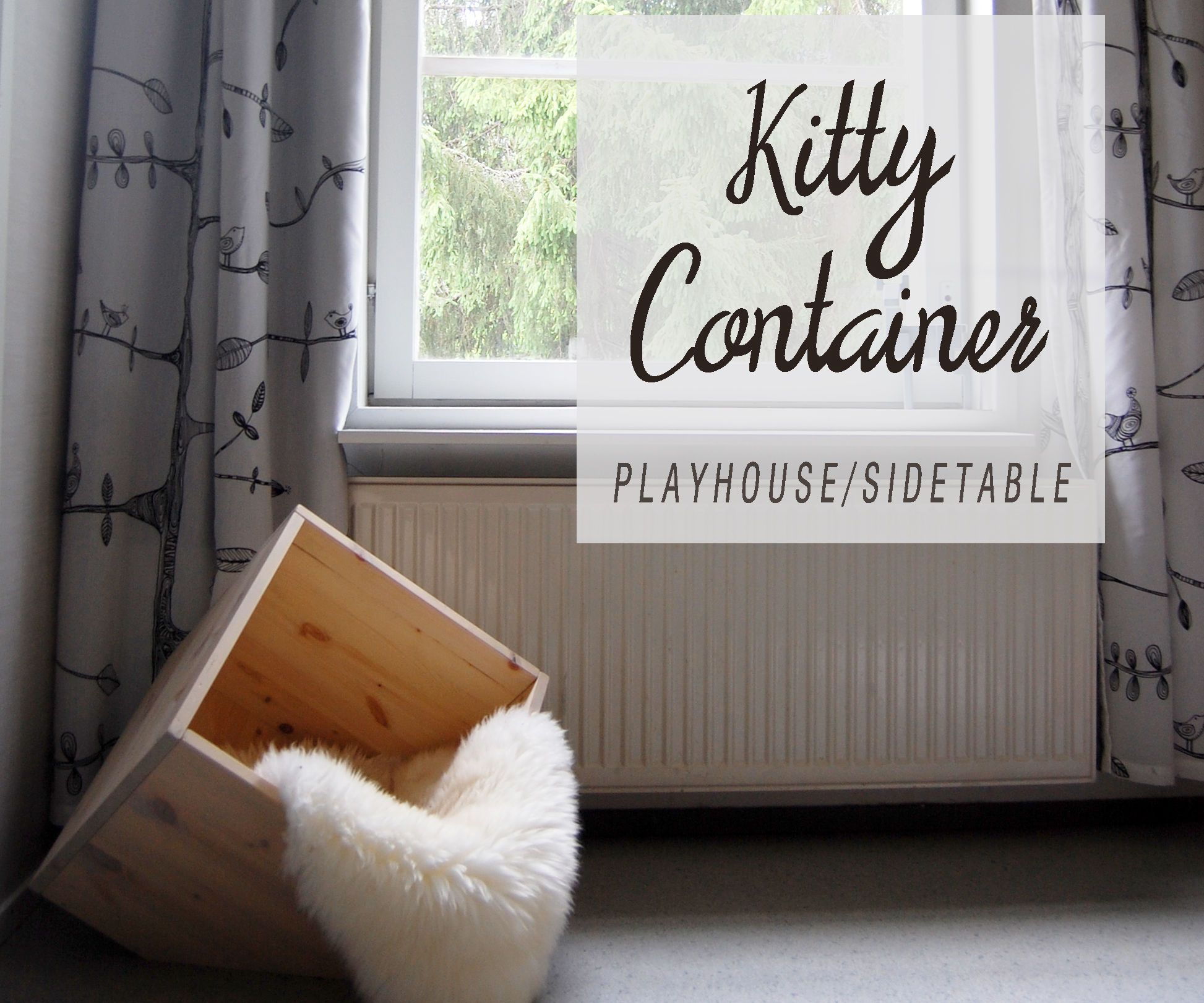 Kitty Container : 6 Steps (with Pictures) - Instructables