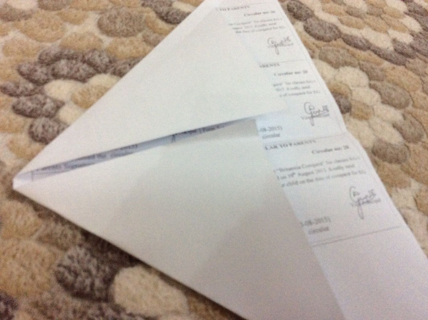 How to Make Flapper 1 : 10 Steps - Instructables