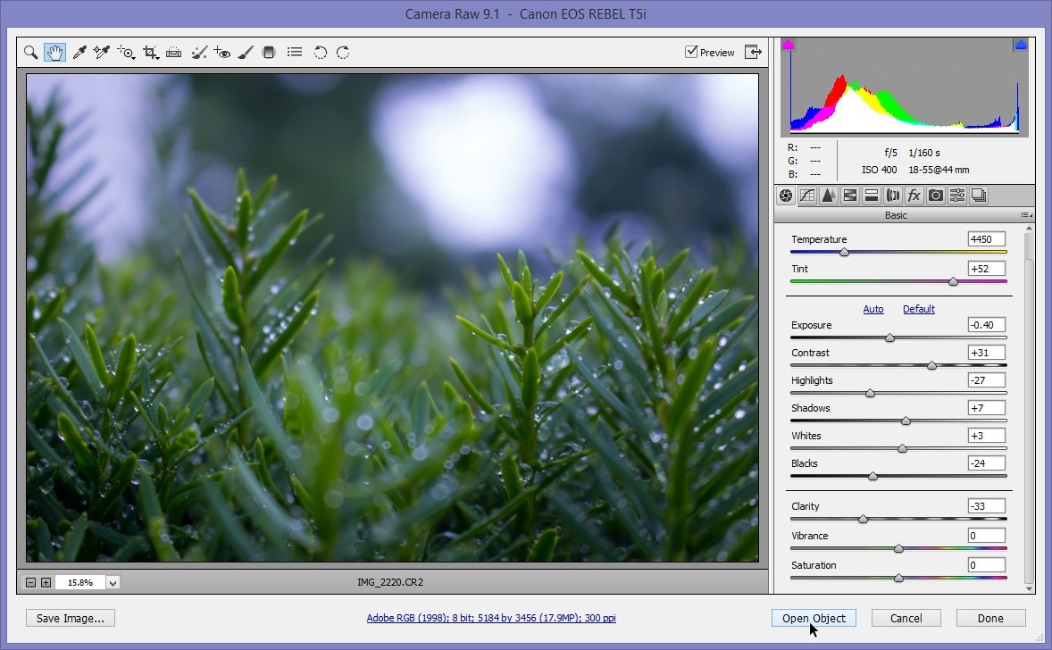 A Complete Beginner's Guide to Raw Files and Raw Processing : 11 Steps ...
