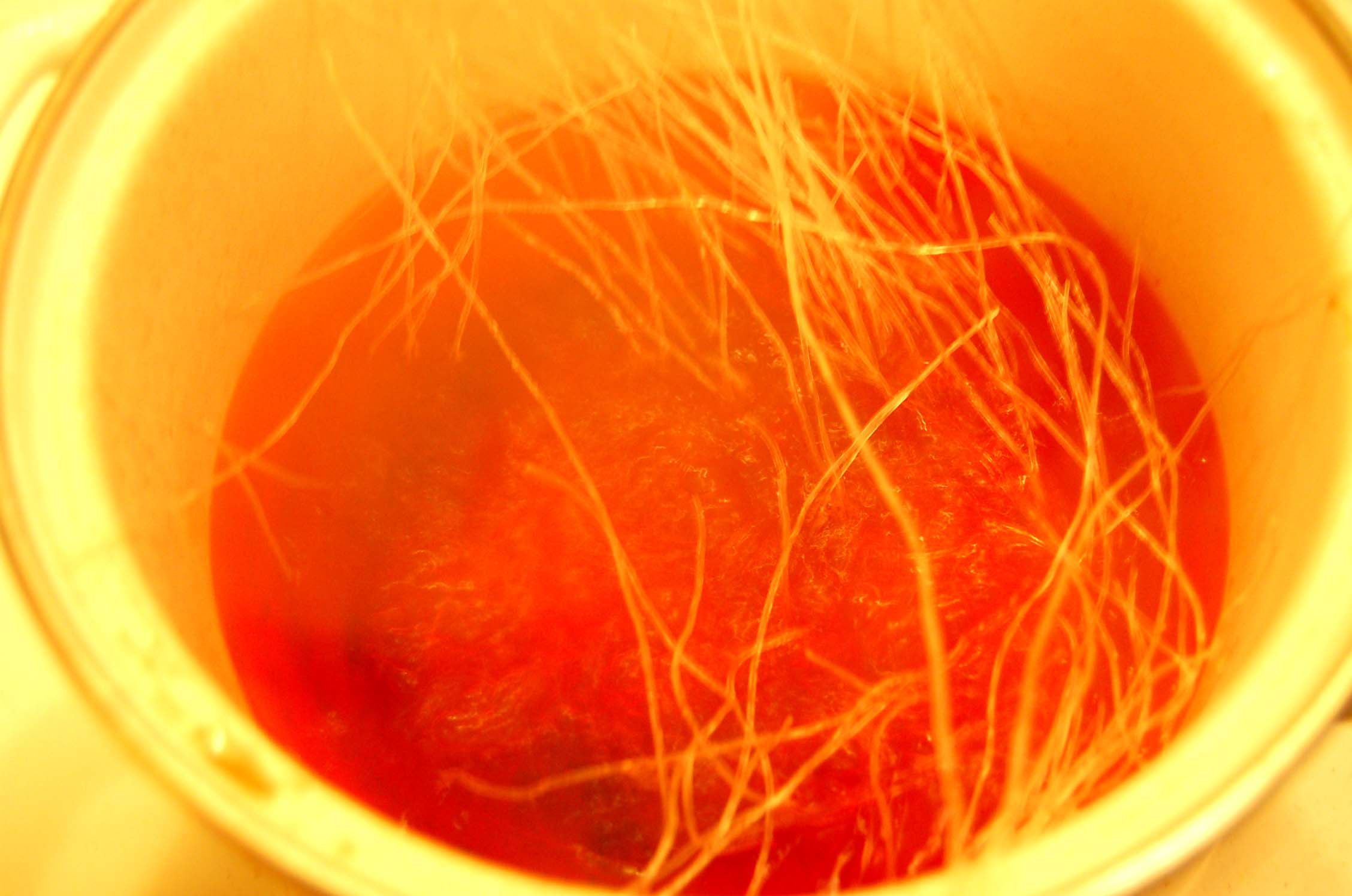 Colored Noodles, for Eating! : 5 Steps (with Pictures) - Instructables