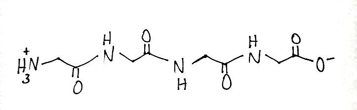 How to Draw Peptide Chains : 18 Steps (with Pictures) - Instructables