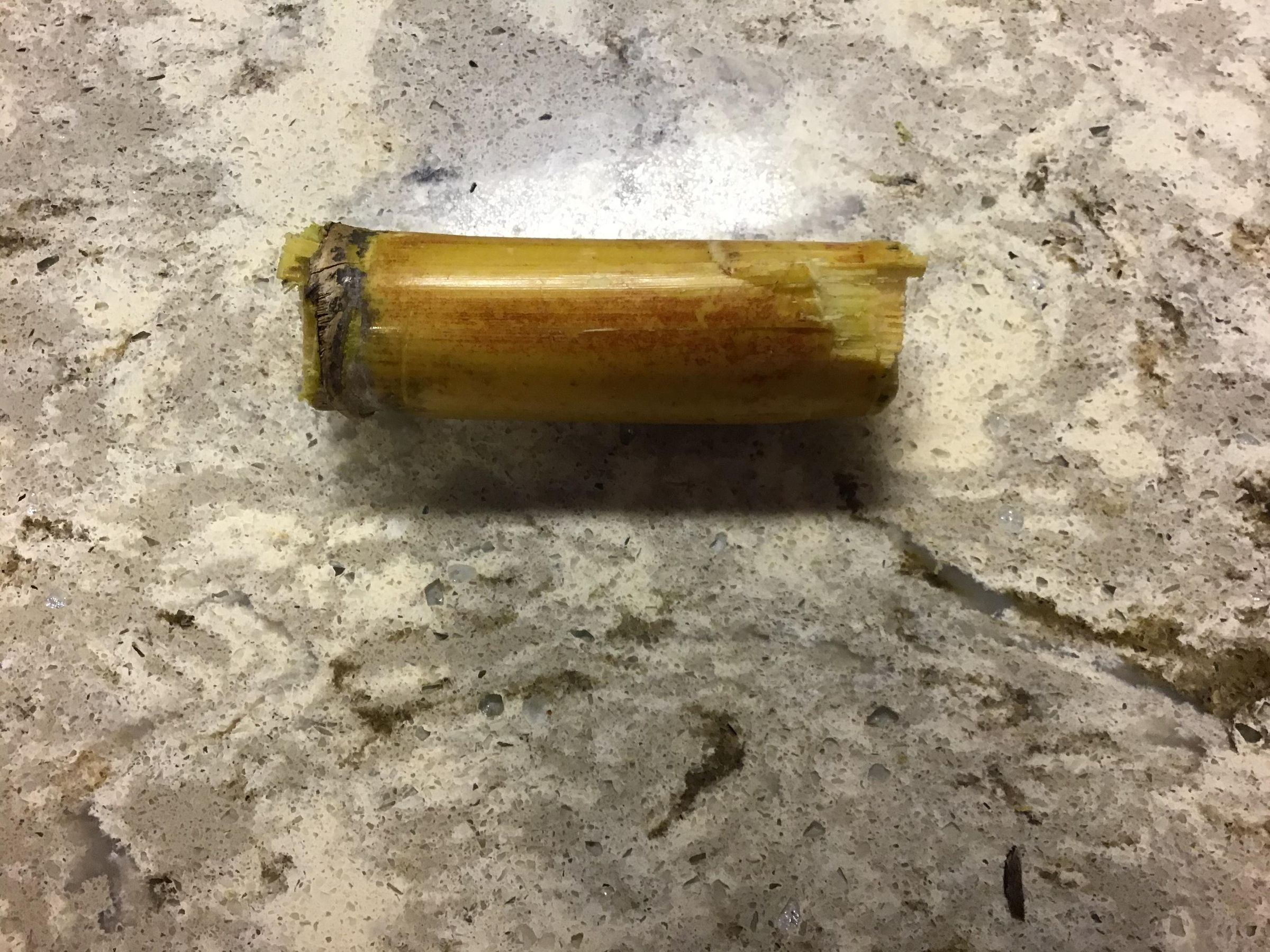 How to Prepare and Eat Raw Sugarcane! : 3 Steps - Instructables