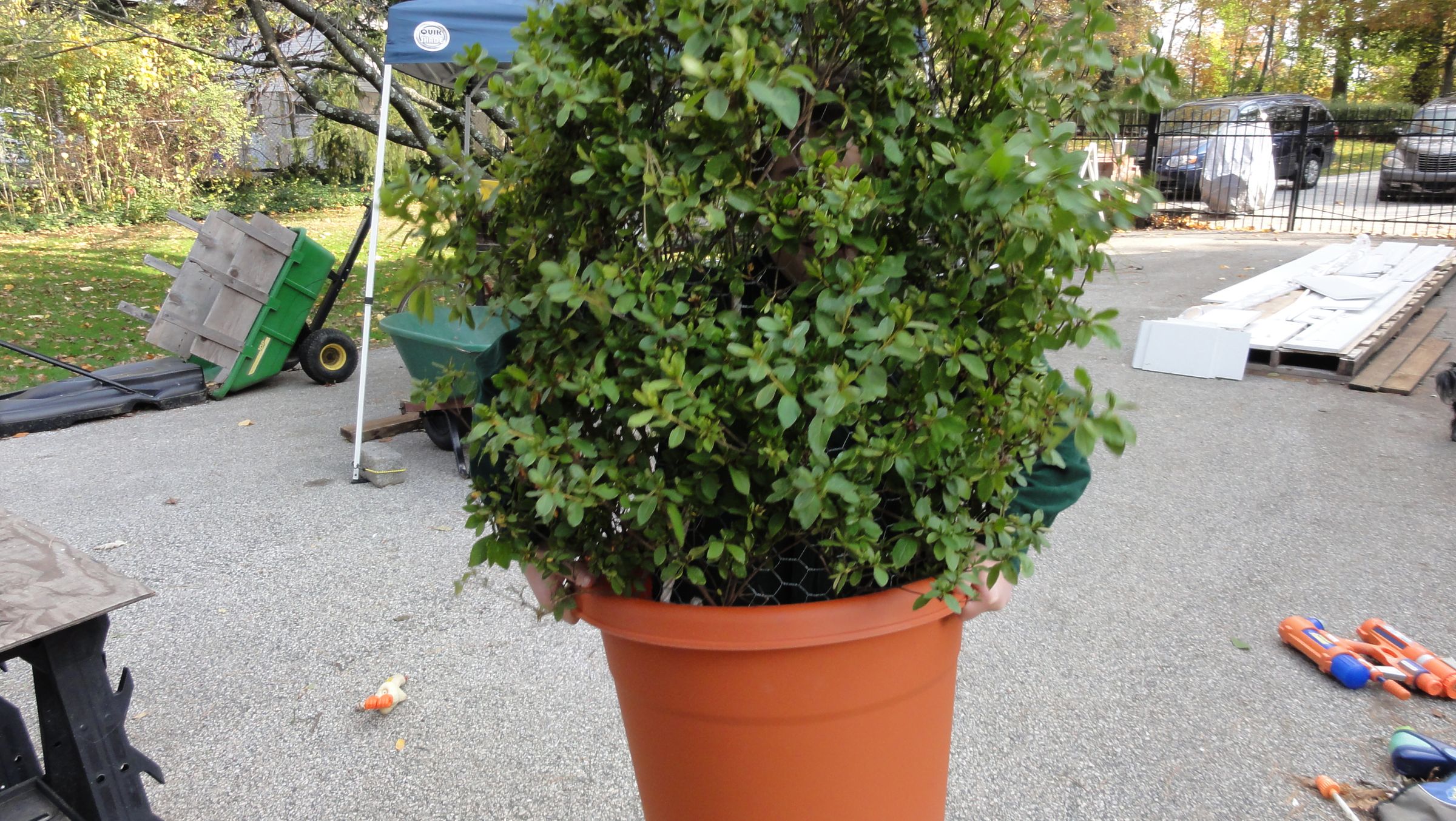 Shrub (Bush, Plant) Costume : 3 Steps (with Pictures) - Instructables