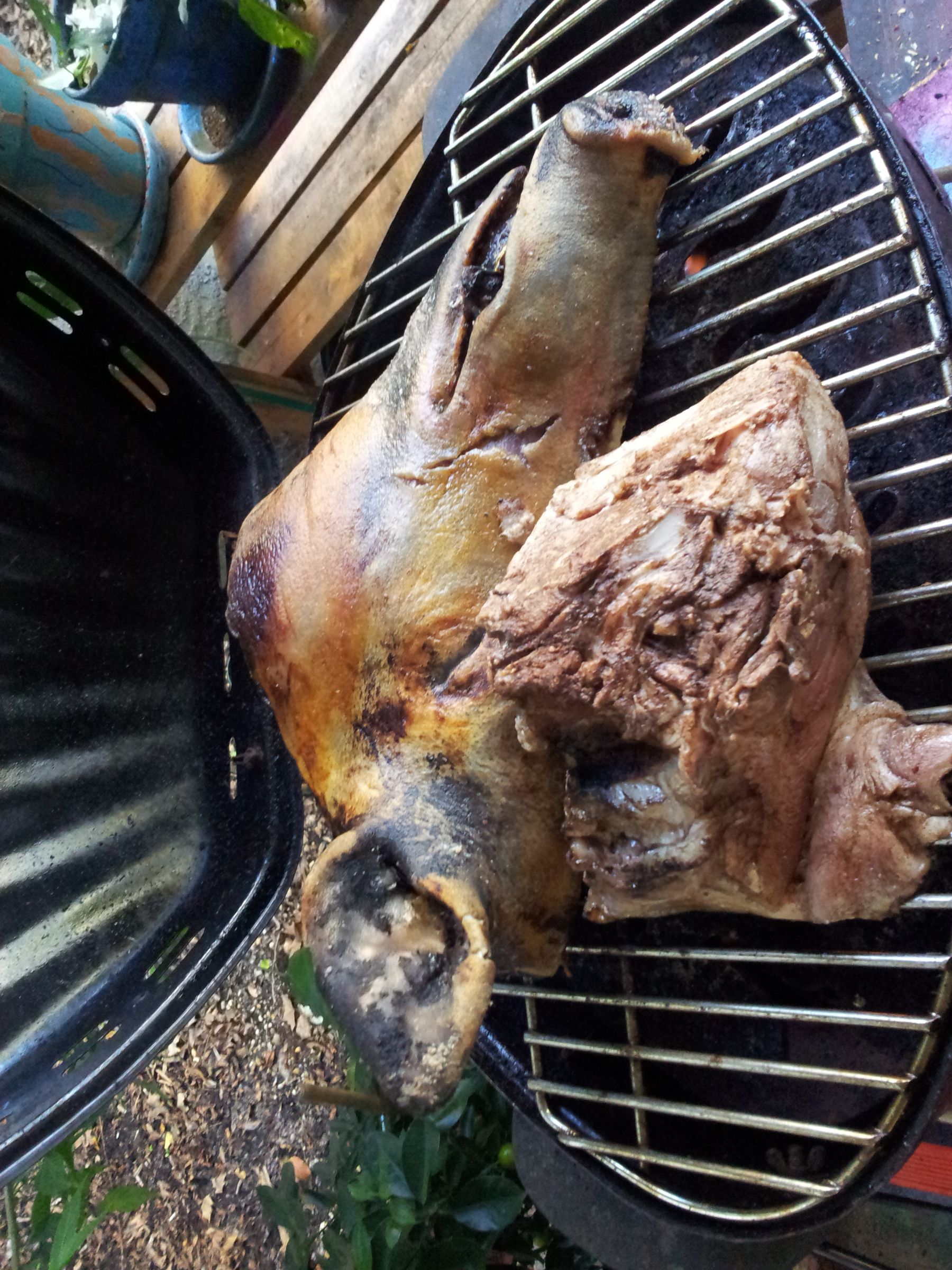 Slow Cooked Wild Boars Head - Instructables