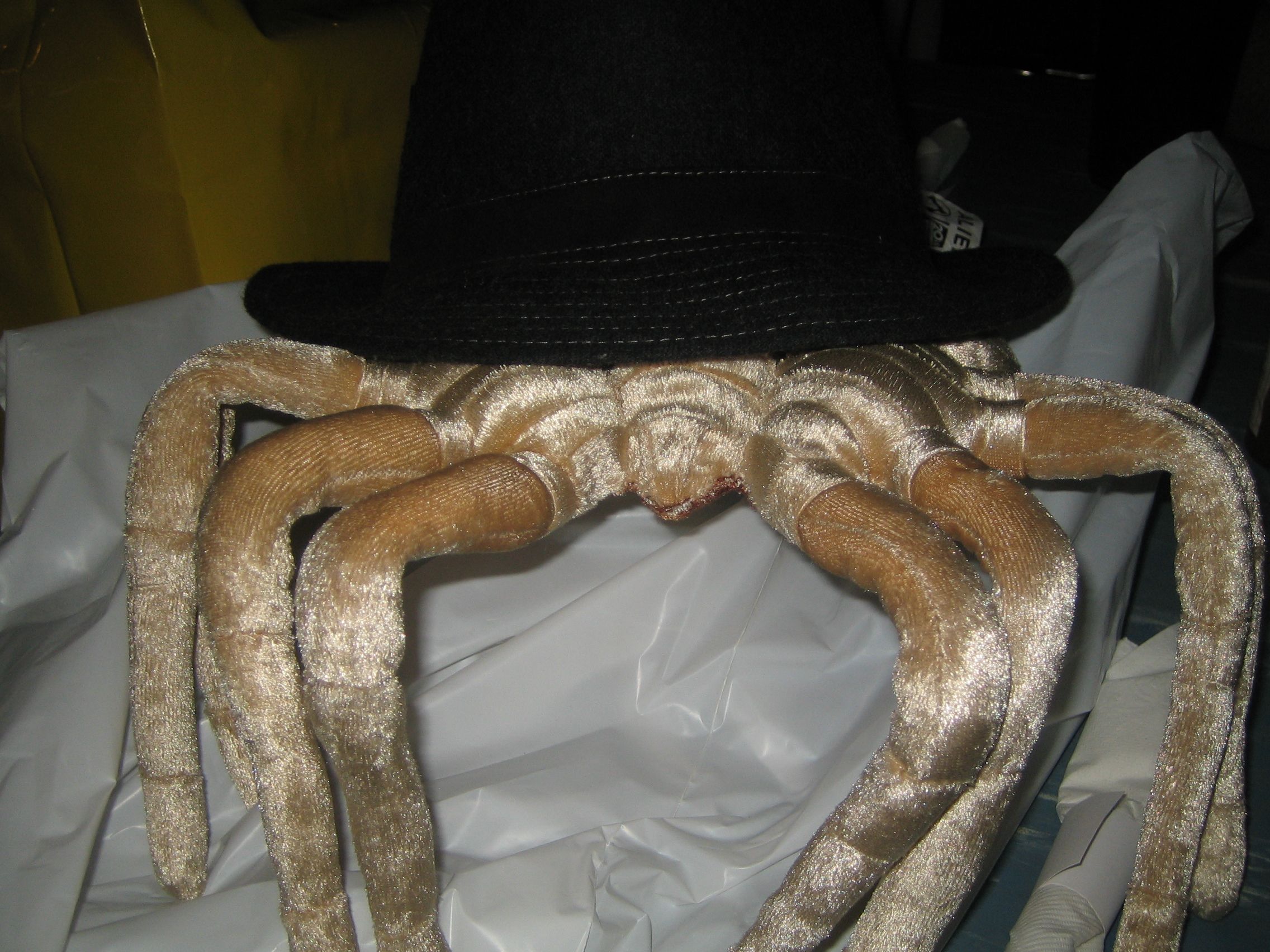 Alien Egg for Face Hugger (with Pictures) - Instructables