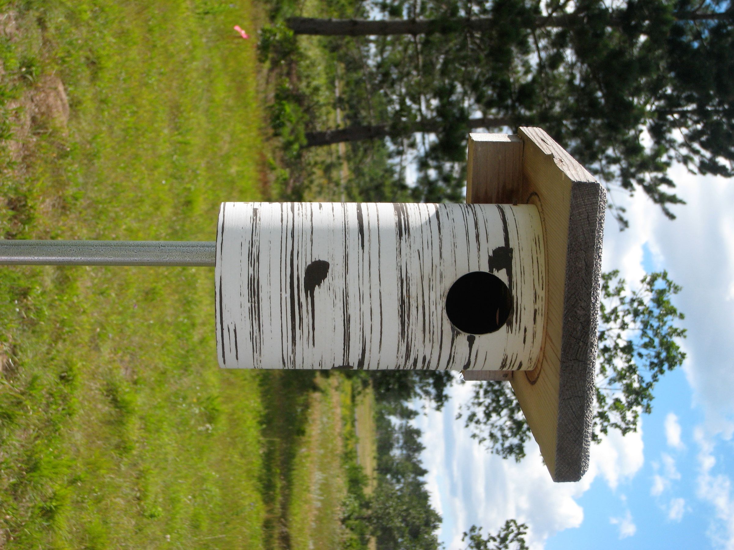 Birdhouse From an Old PVC Pipe : 14 Steps (with Pictures) - Instructables