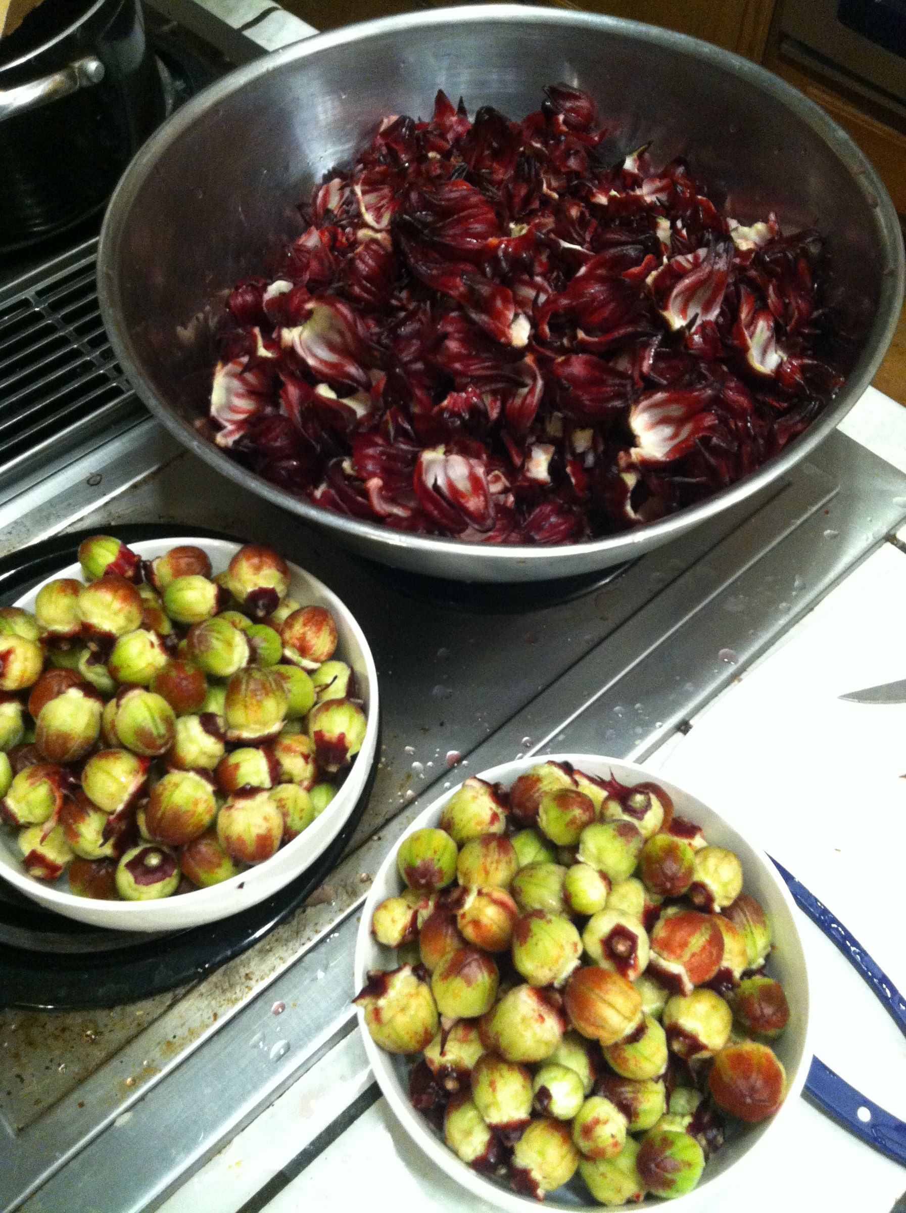 Roselle Syrup for Drinks! : 5 Steps (with Pictures) - Instructables