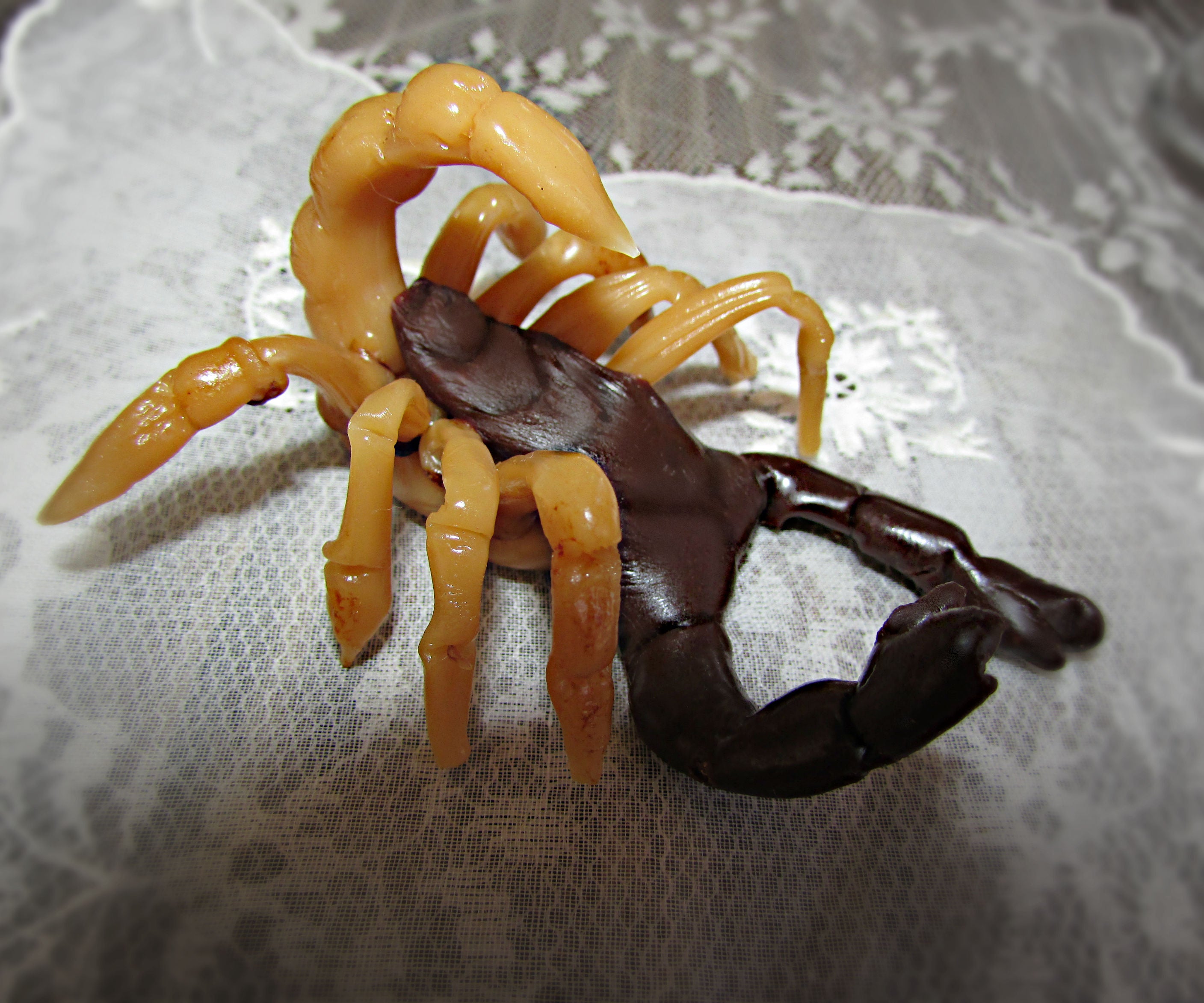 Chocolate Covered Scorpions
