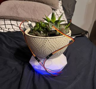 LED Plant Hydration Tracker : 4 Steps (with Pictures) - Instructables