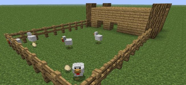 Minecraft Chicken Cooker