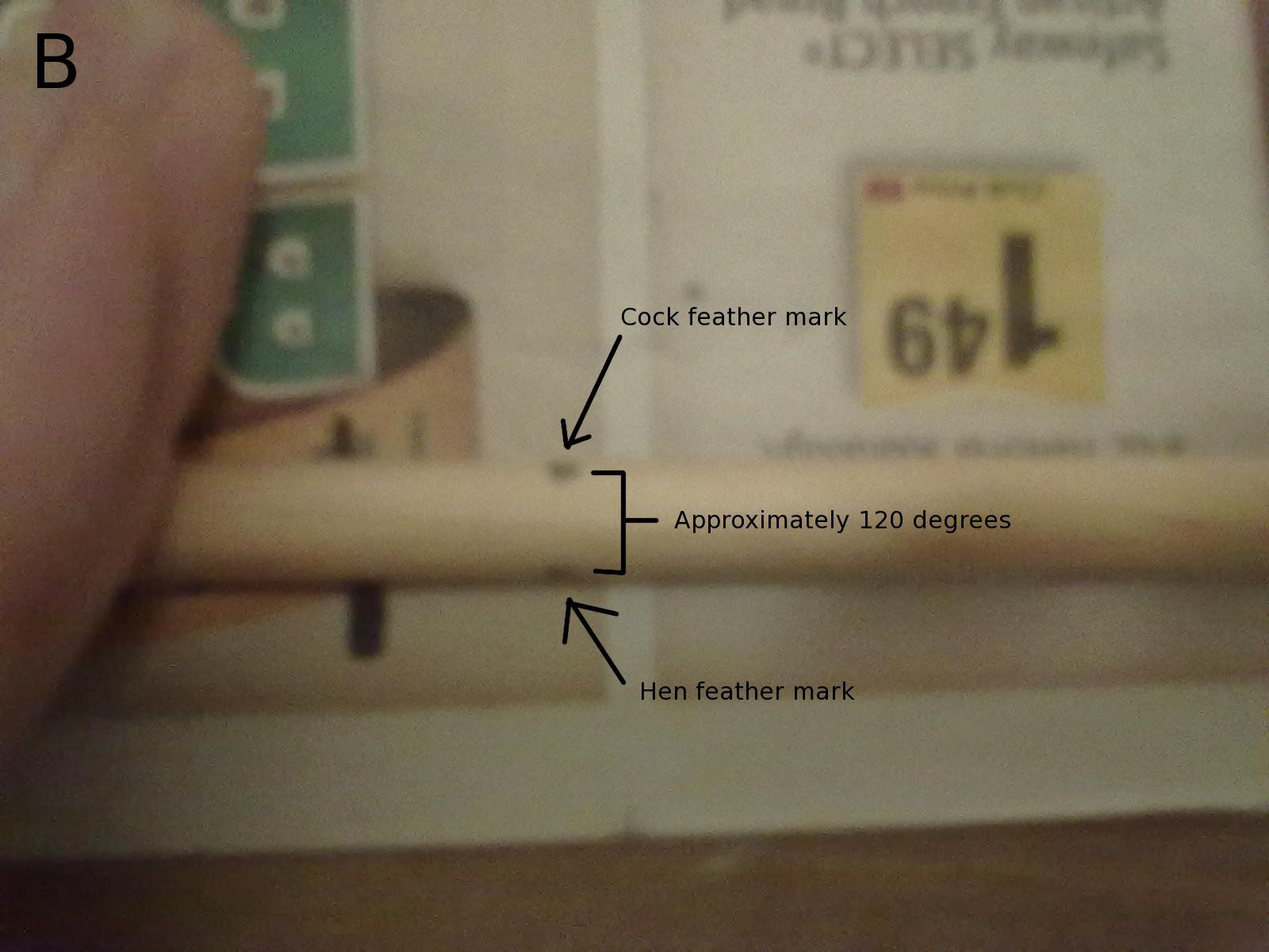 Hand Fletching Wood Arrows : 10 Steps - Instructables