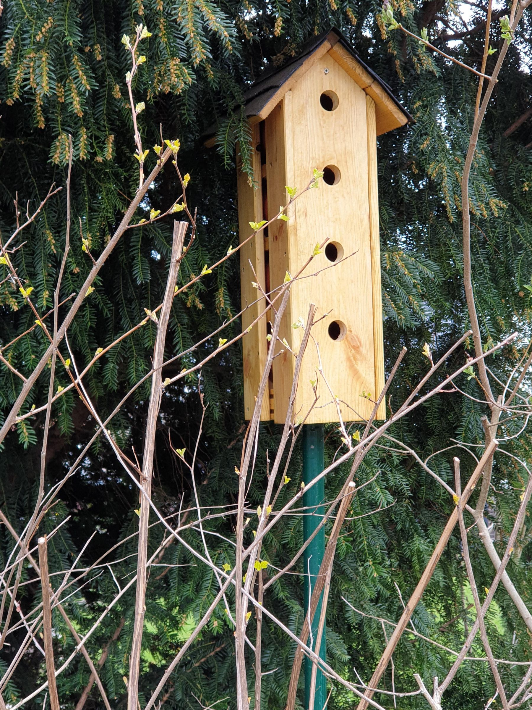 Sparrow Community House - Instructables