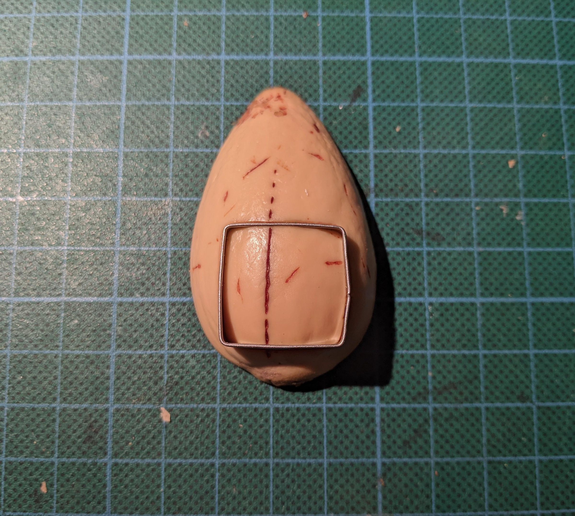 Buttons From Avocado Pits : 8 Steps (with Pictures) - Instructables