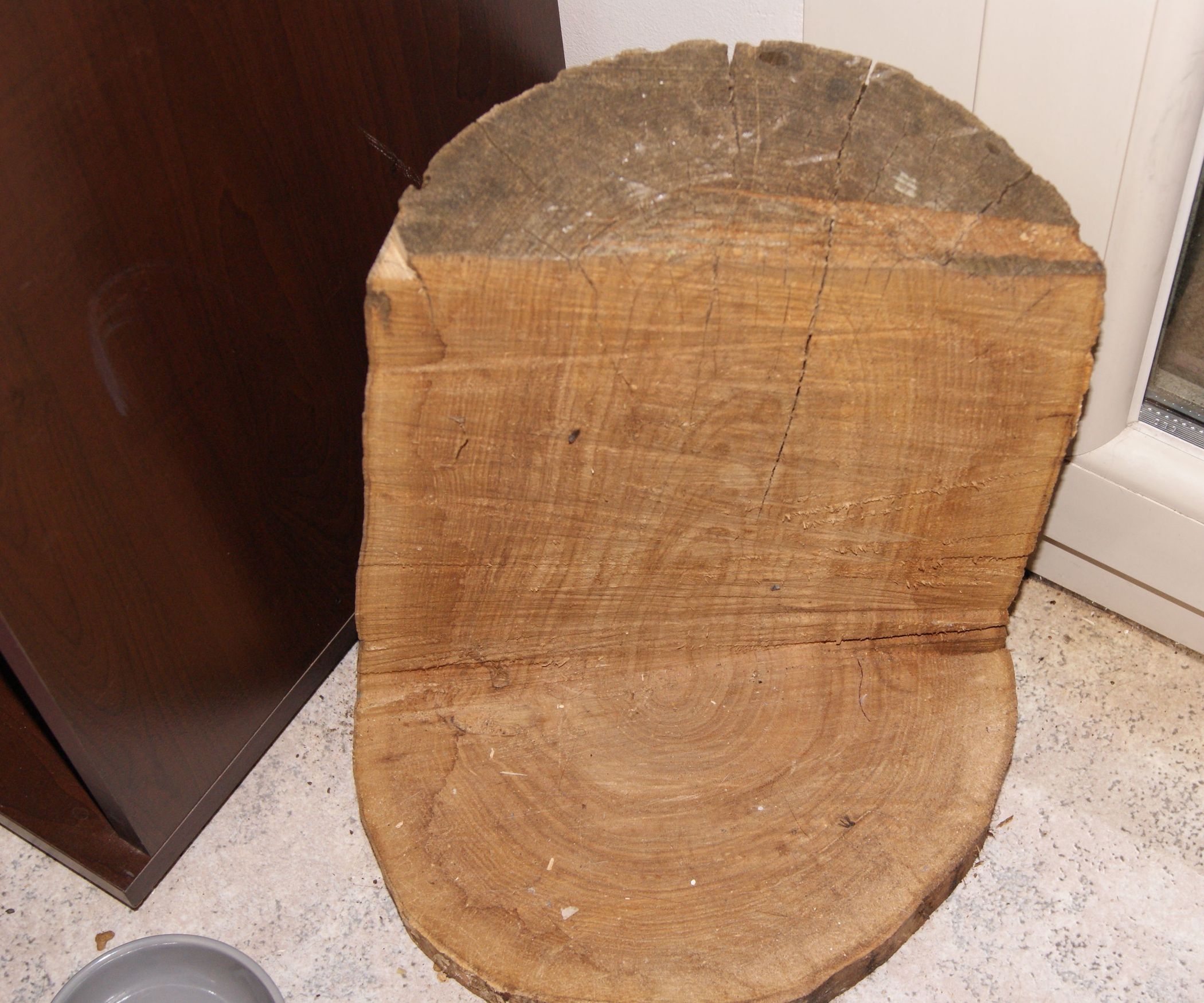 2 Natural Cat Scratcher From Log - Instructables
