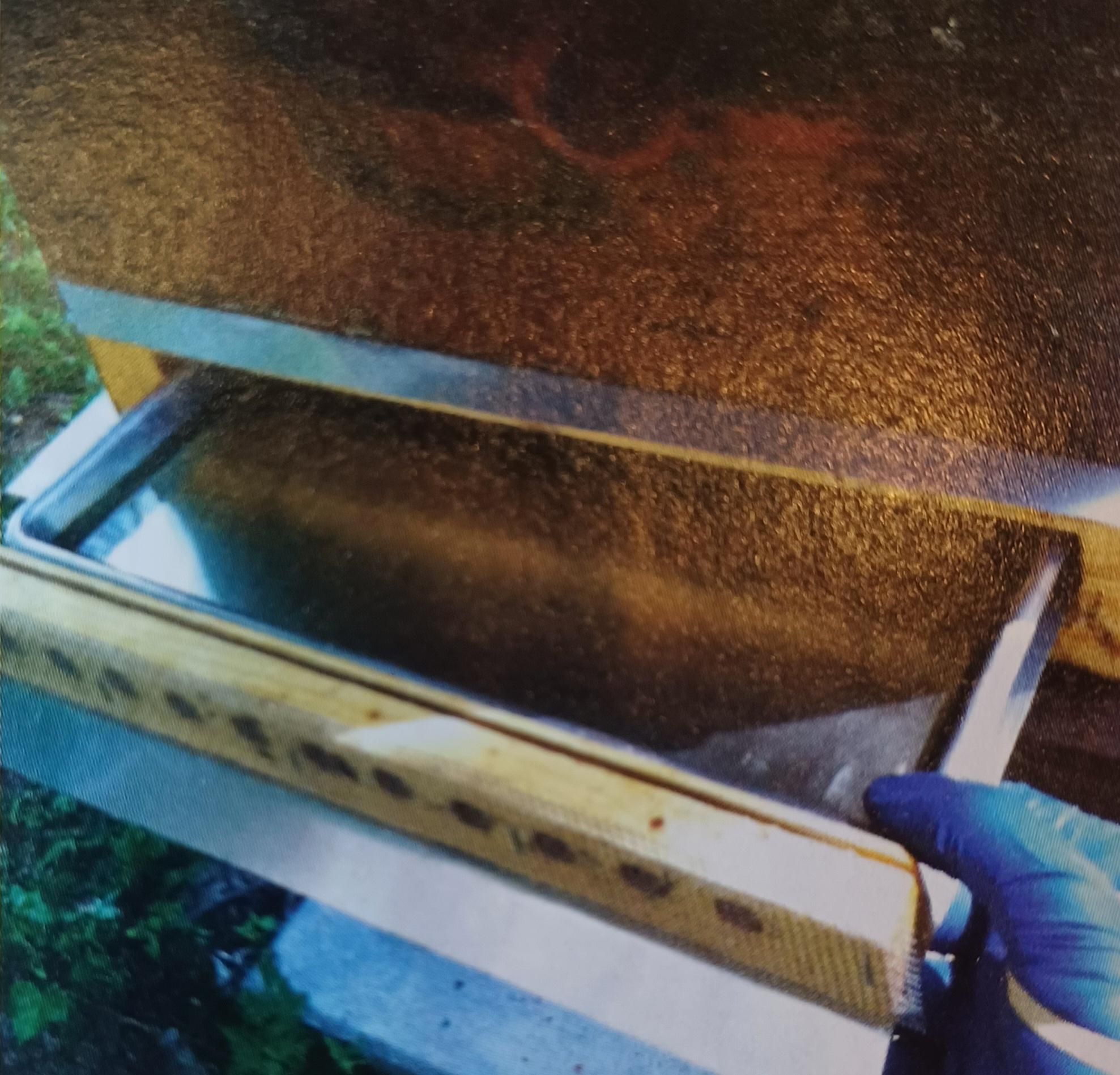 Blue Ribbon Beetle Trapping Bottom Board : 45 Steps (with Pictures ...