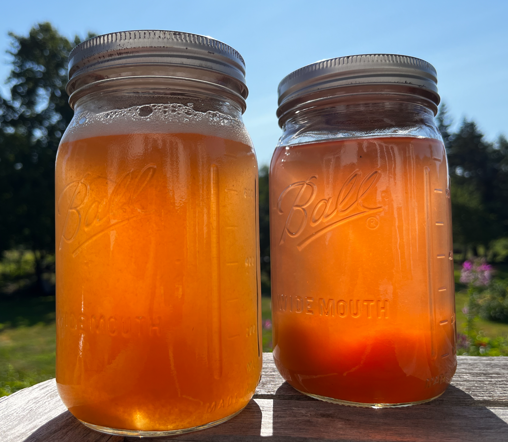 Rhubarb Simple Syrup : 7 Steps (with Pictures) - Instructables