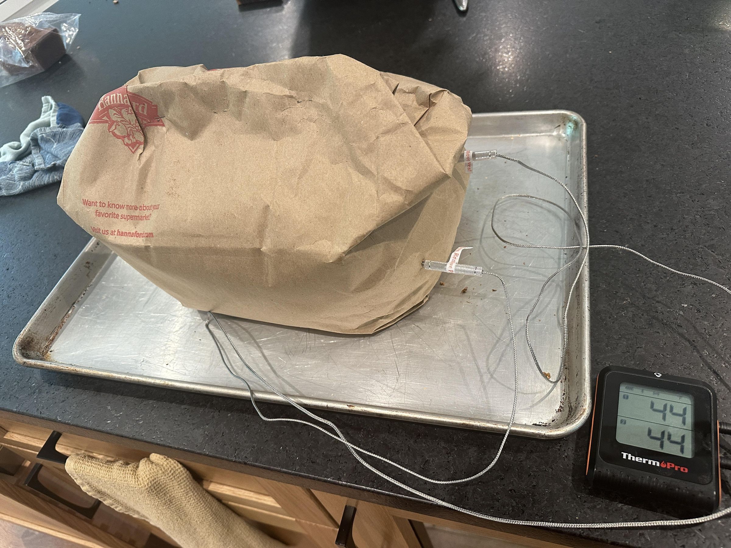 Paper Bag Pig in the Ground : 10 Steps (with Pictures) - Instructables