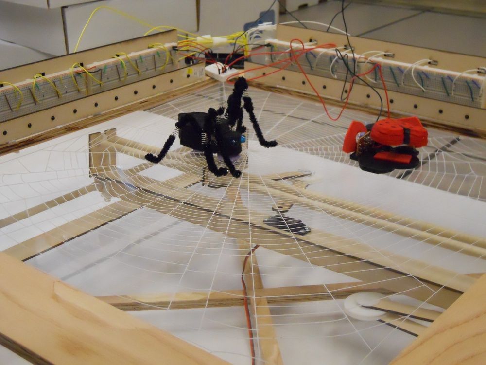 Bug-Catching Spider in Web, Part 2 : 7 Steps - Instructables