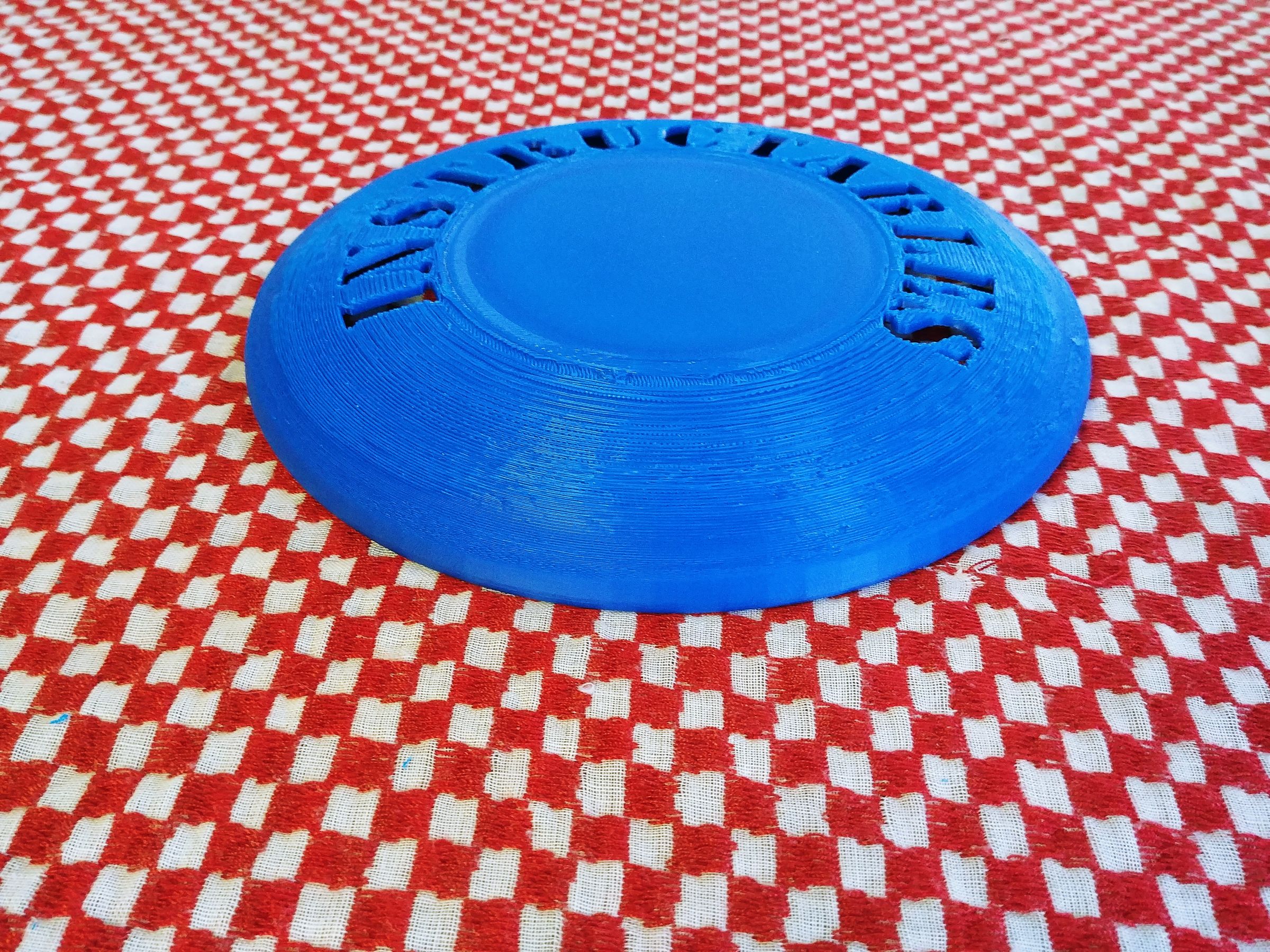 Make a Custom Frisbee : 7 Steps (with Pictures) - Instructables