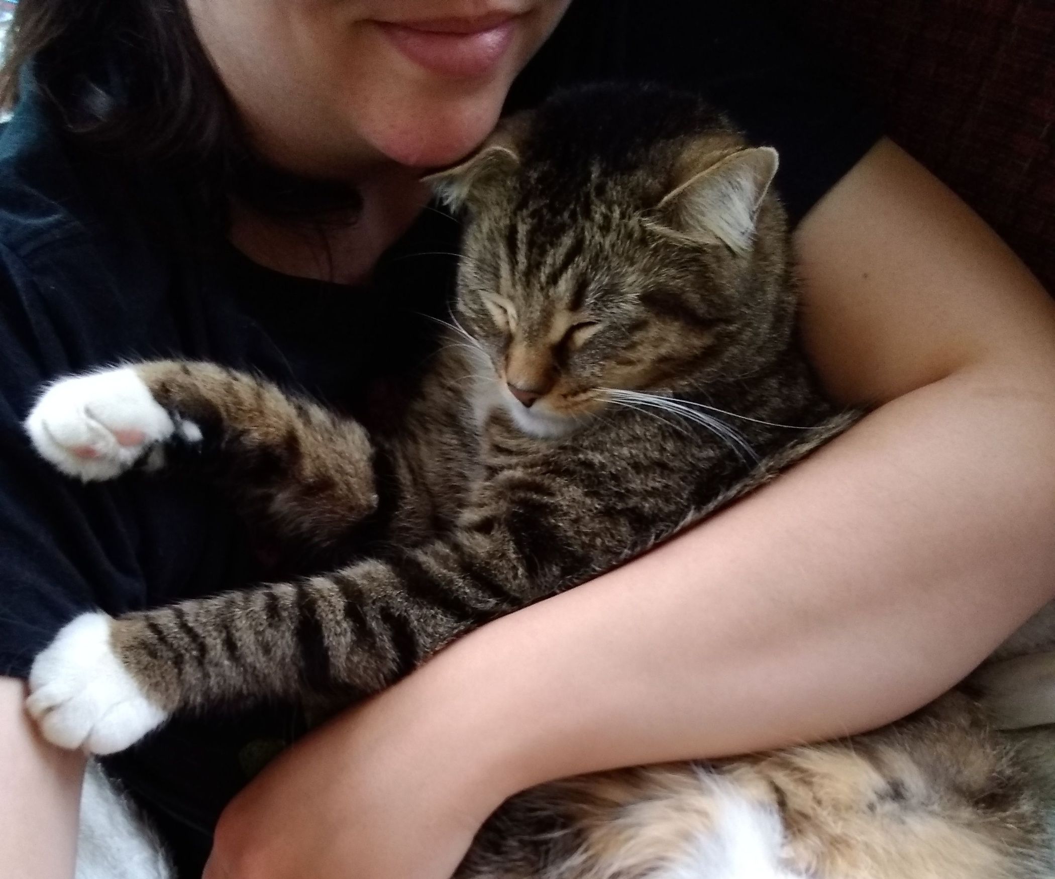 How To: Lull Your Cat to Sleep : 14 Steps (with Pictures) - Instructables