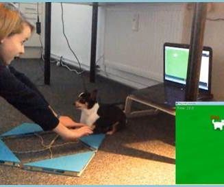A Videogame Controlled by Your Dog : 5 Steps - Instructables