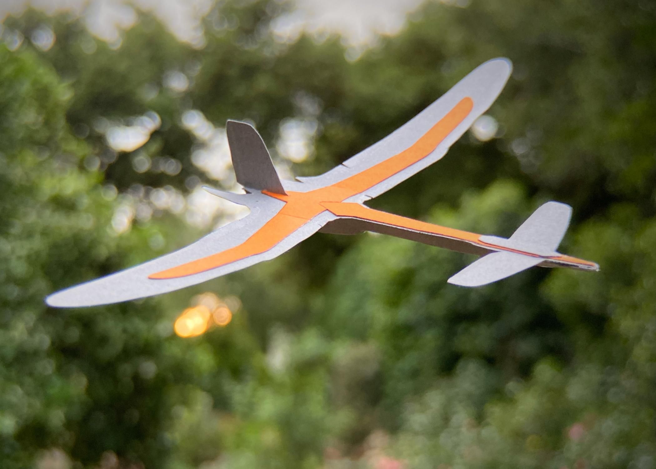 Tiny Pterosaur Glider : 6 Steps (with Pictures) - Instructables