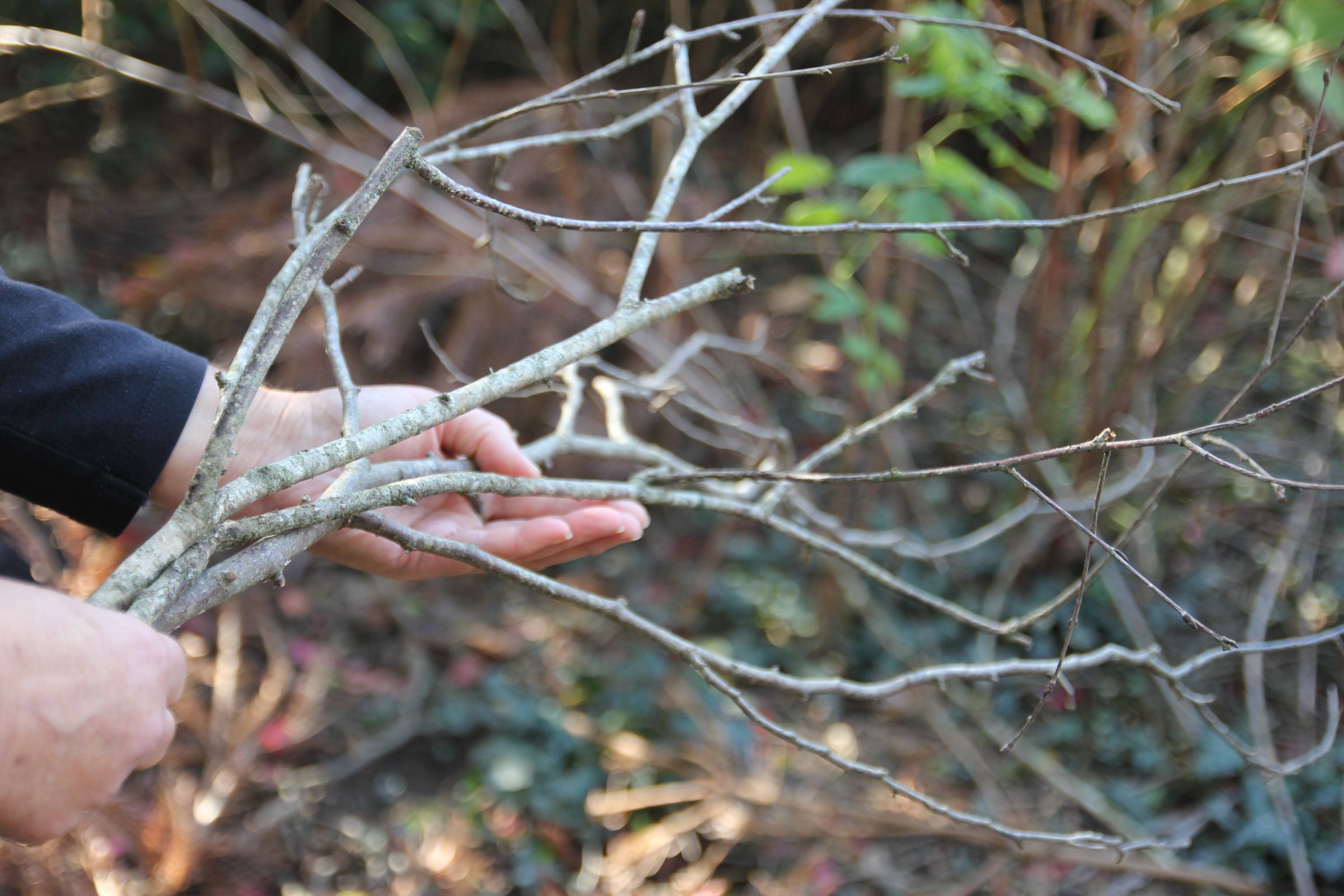 Woodland Spirit Twig Crown With Fawn Ears : 5 Steps - Instructables