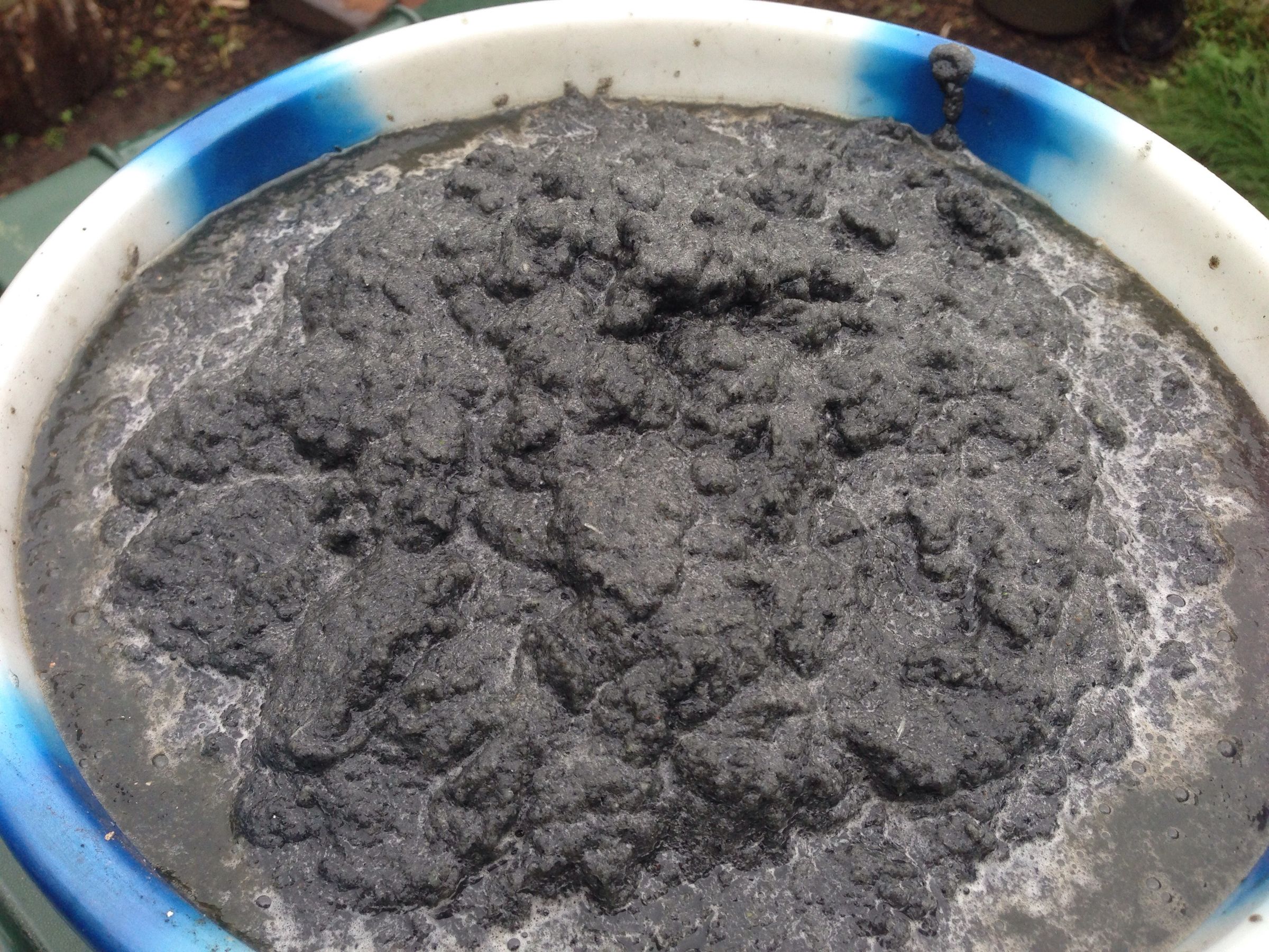 Make Worm Food for Your Wormery : 4 Steps (with Pictures) - Instructables
