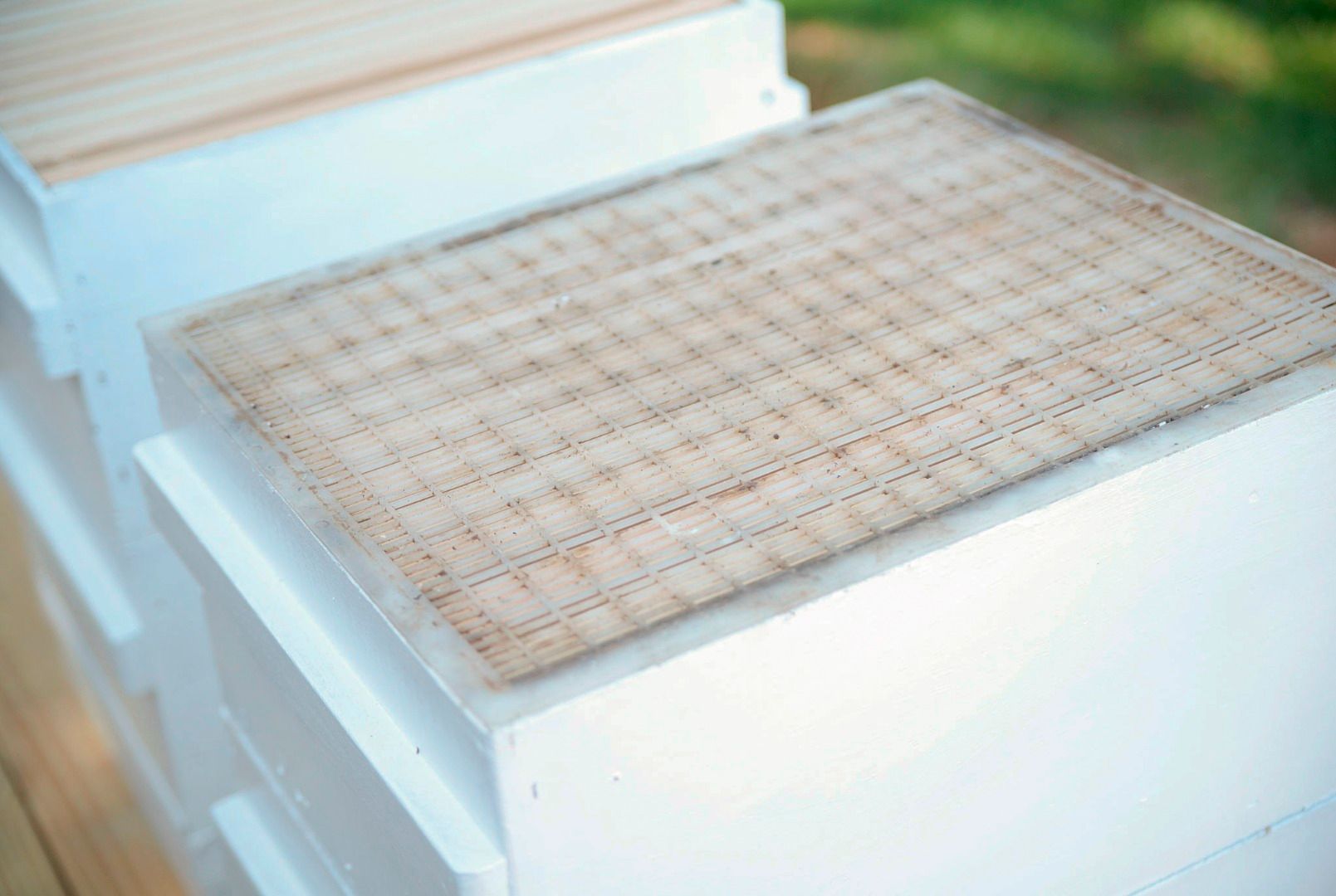 Start a Back Yard Honey Bee Hive : 10 Steps (with Pictures) - Instructables