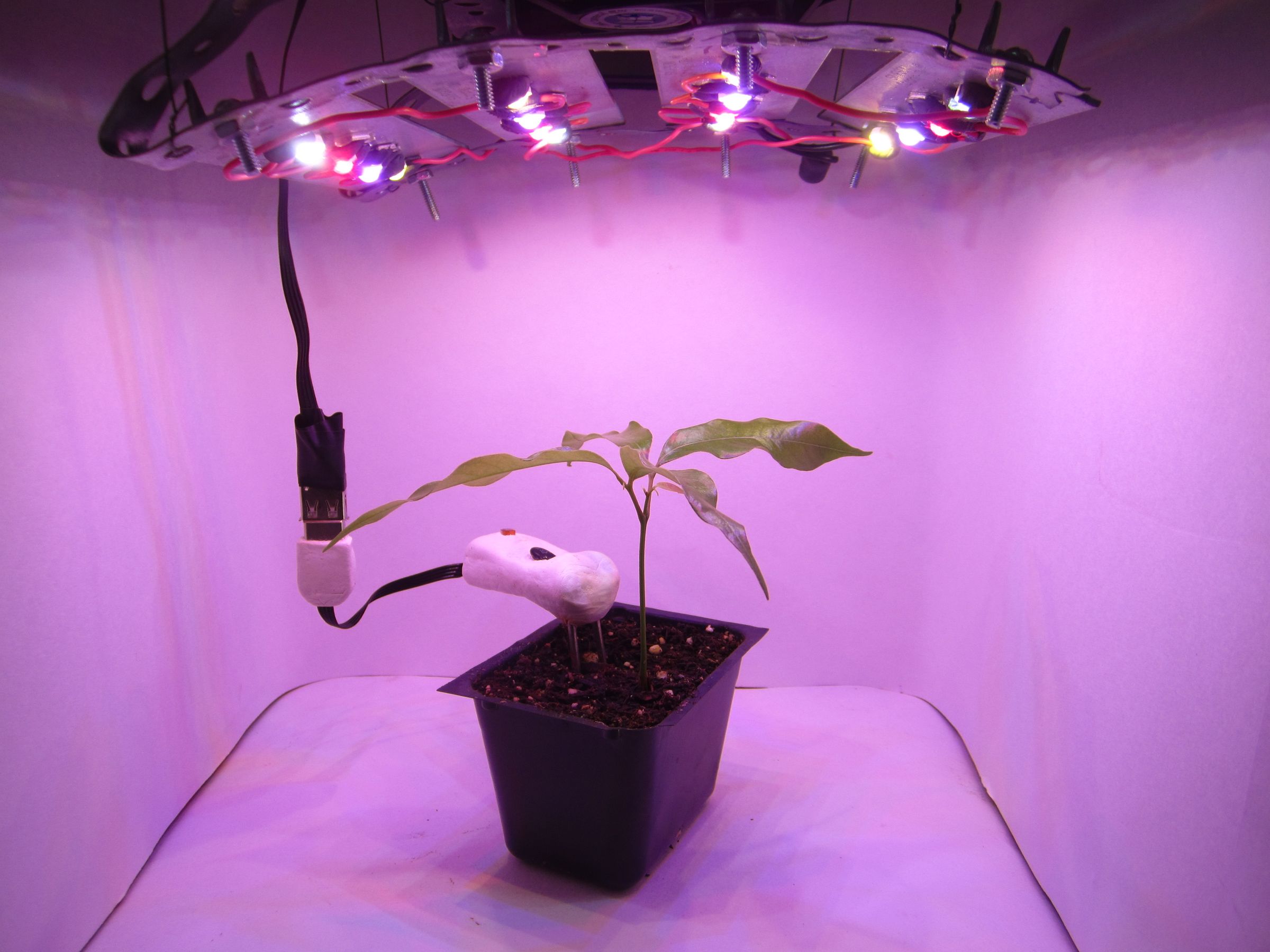 The Plant Box : 6 Steps - Instructables