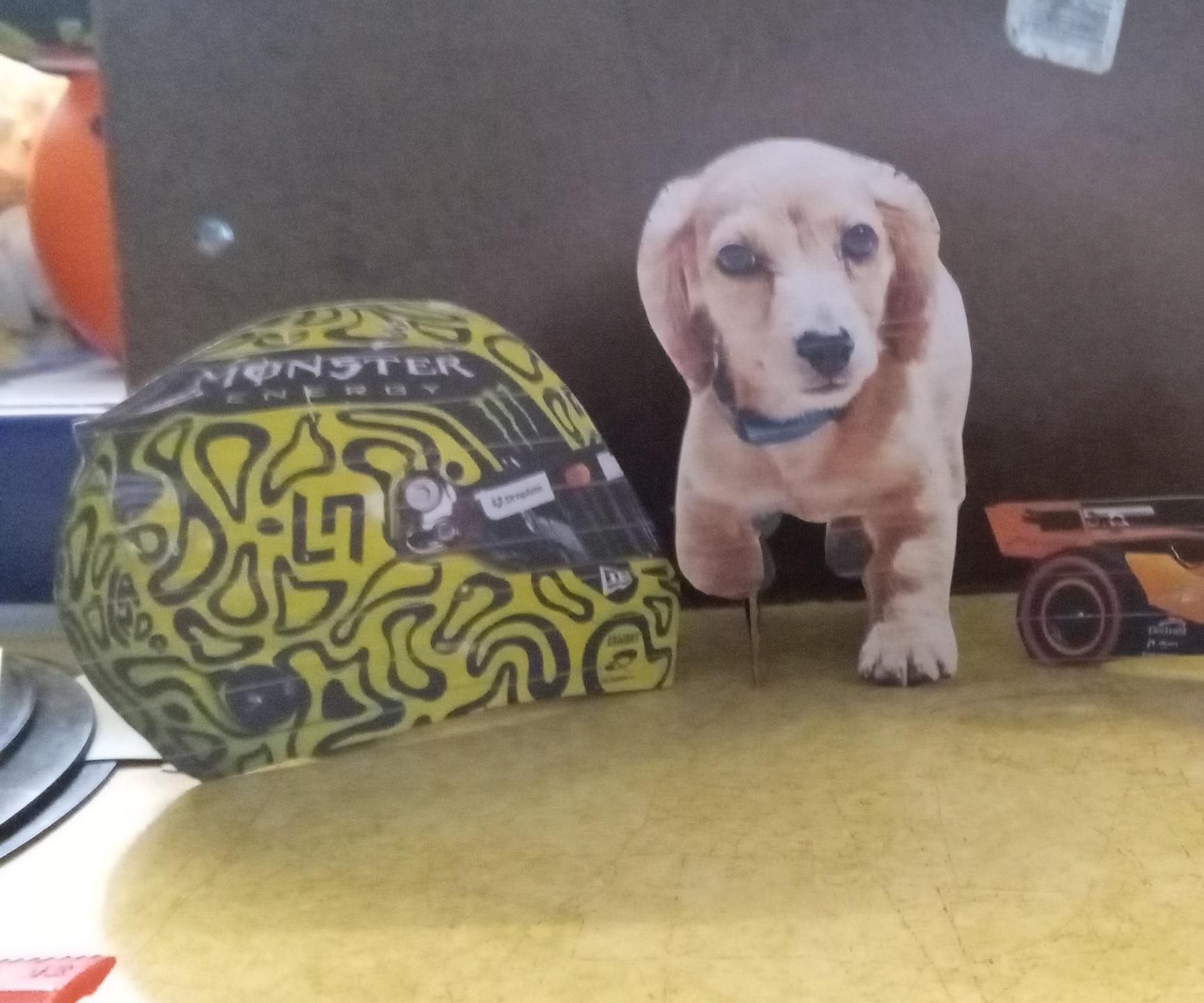 DIY Cardboard Cutouts : 6 Steps - Instructables
