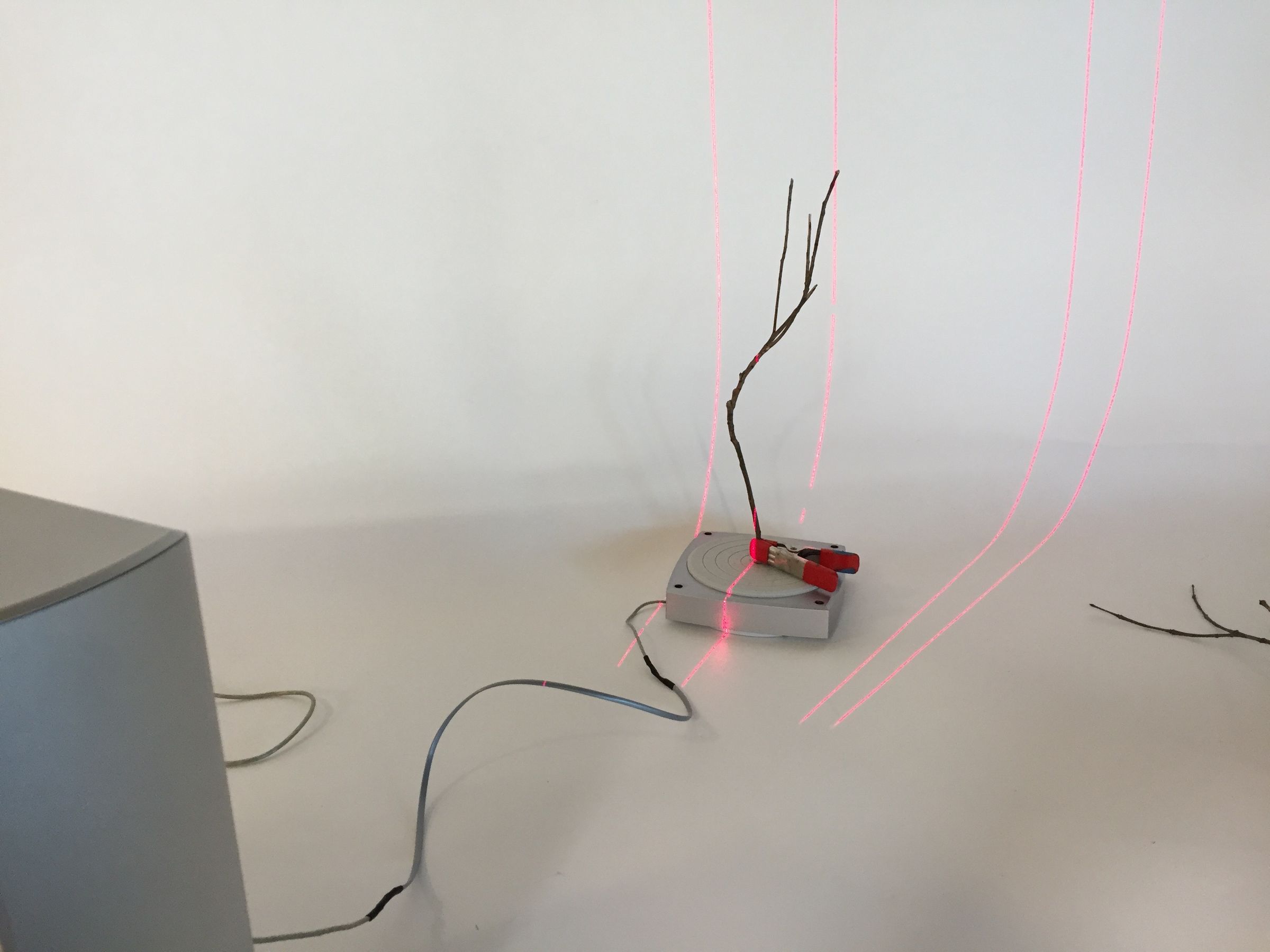 5 Twigs : 4 Steps - Instructables