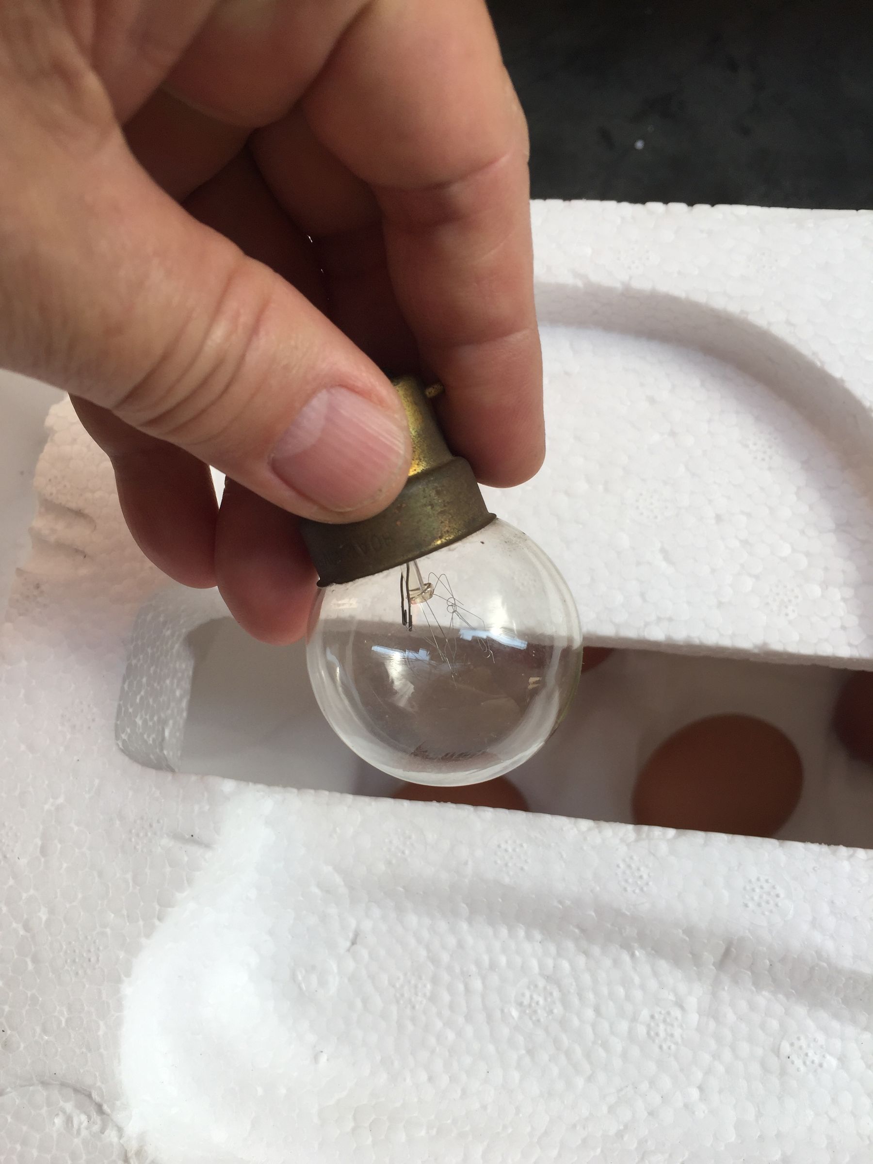 DIY Styrofoam Egg Incubator : 5 Steps - Instructables