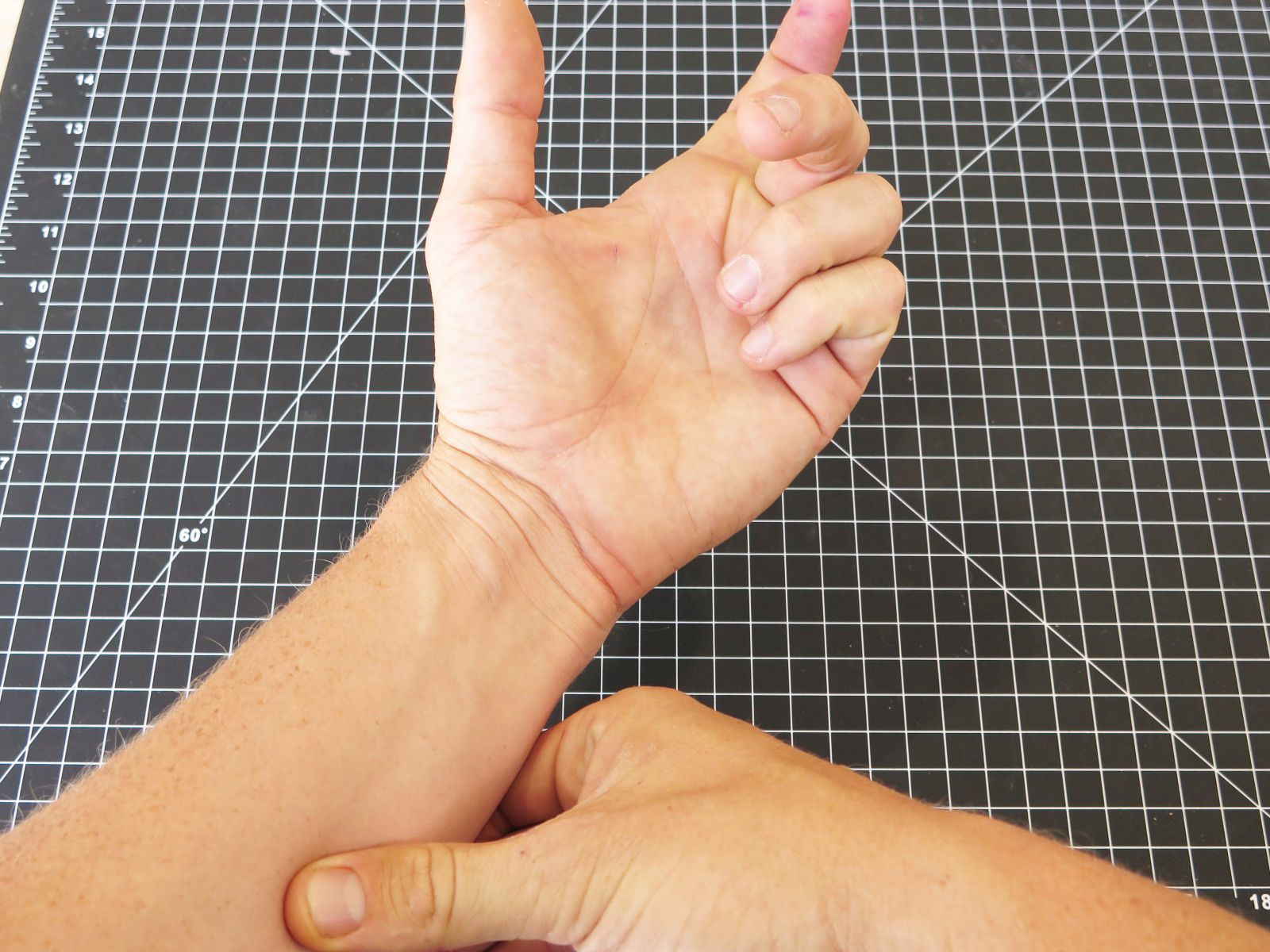 Chicken Foot Dissection : 7 Steps - Instructables