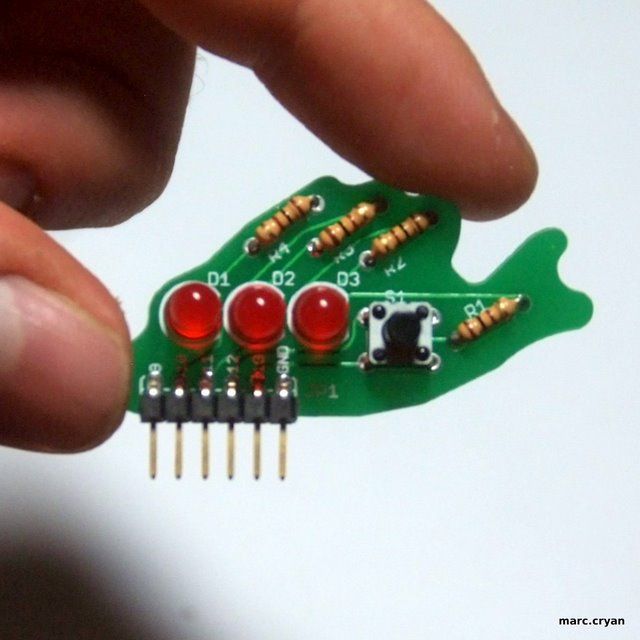 Blinky Fish : 13 Steps (with Pictures) - Instructables