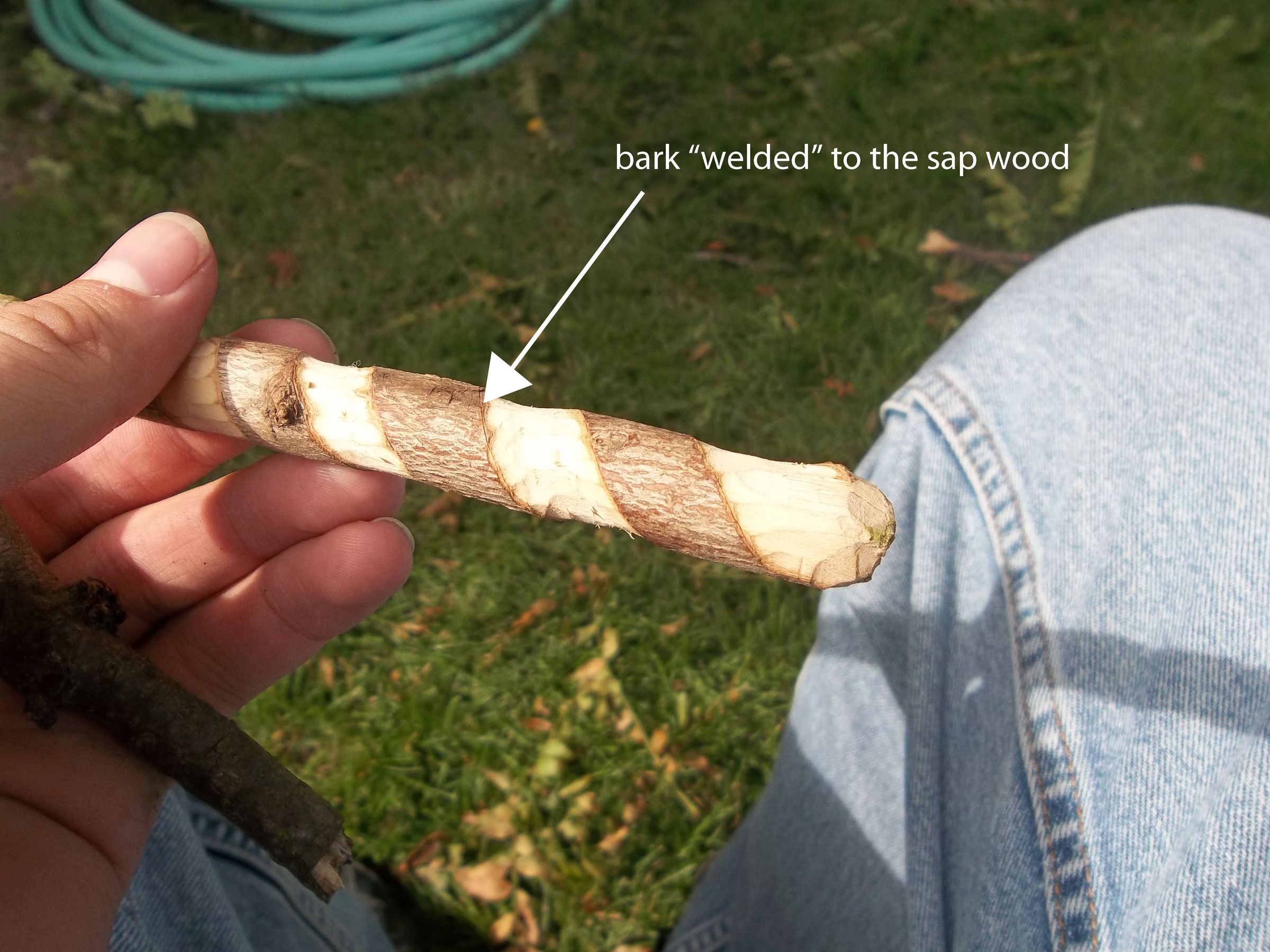 Introduction to Stick Carving : 10 Steps - Instructables