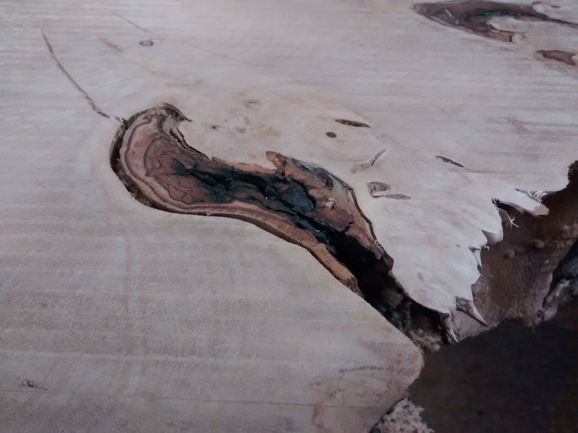 Large Log Slice Table : 9 Steps (with Pictures) - Instructables