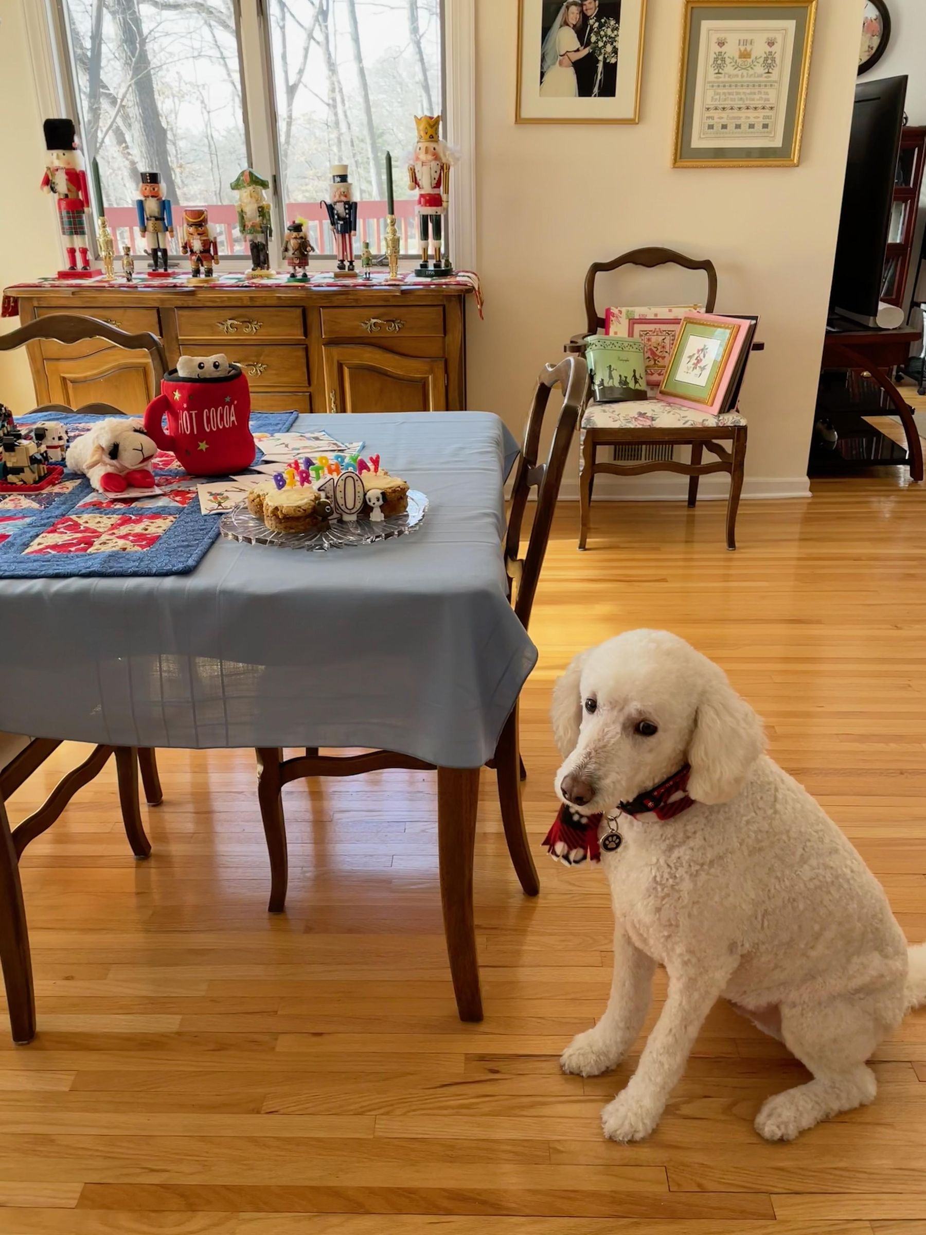 Dog Memory Quilt : 8 Steps (with Pictures) - Instructables