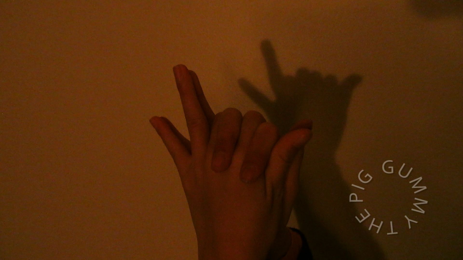 How to Make Shadow Puppets Tutorial #1 : 5 Steps - Instructables