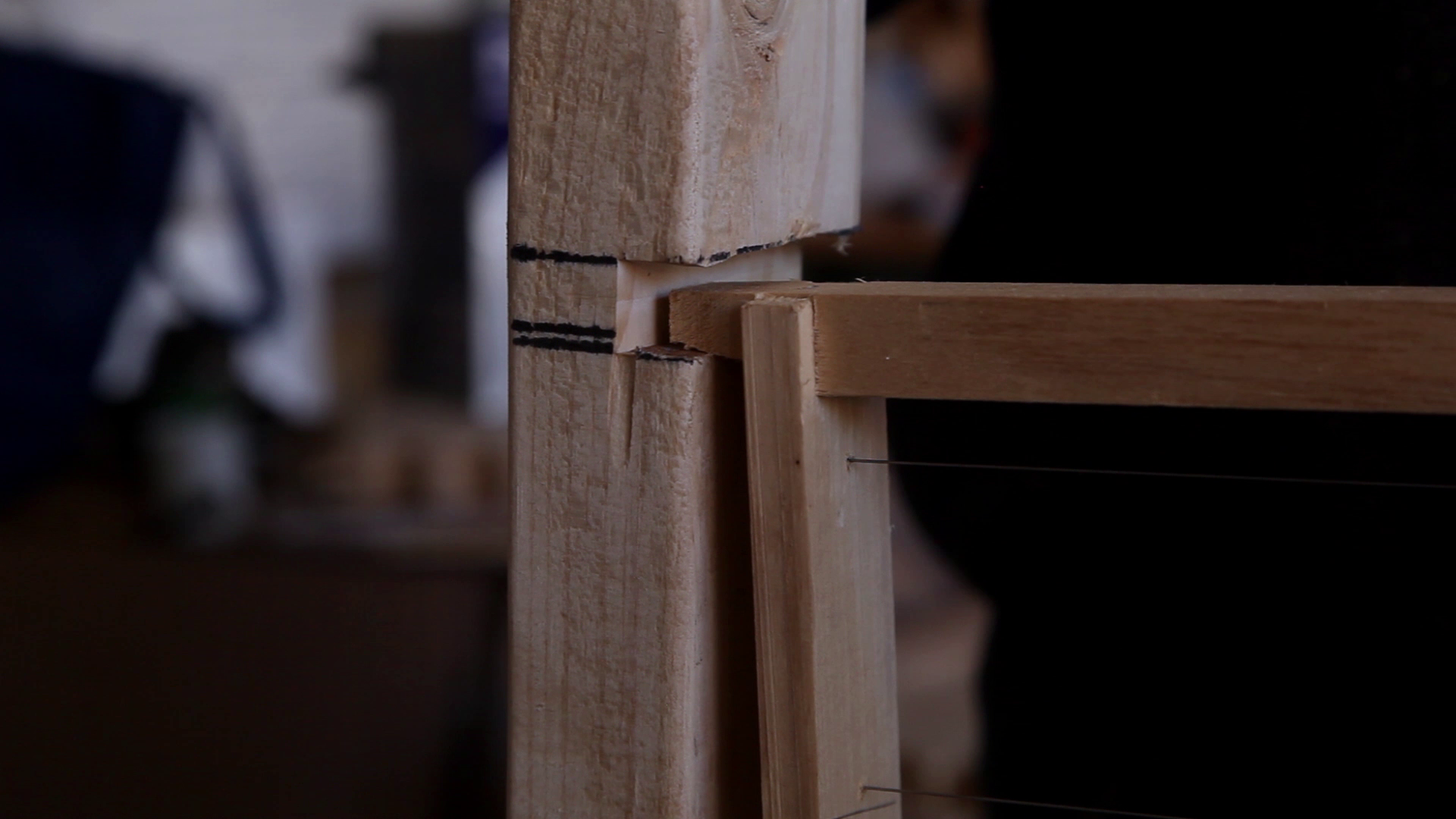 How to Build an Observation Bee Hive : 20 Steps (with Pictures ...